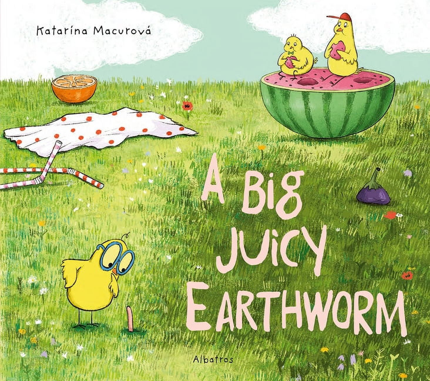 Katarina's Small Wonders: A Big Juicy Earthworm (Hardcover) - Walmart.com