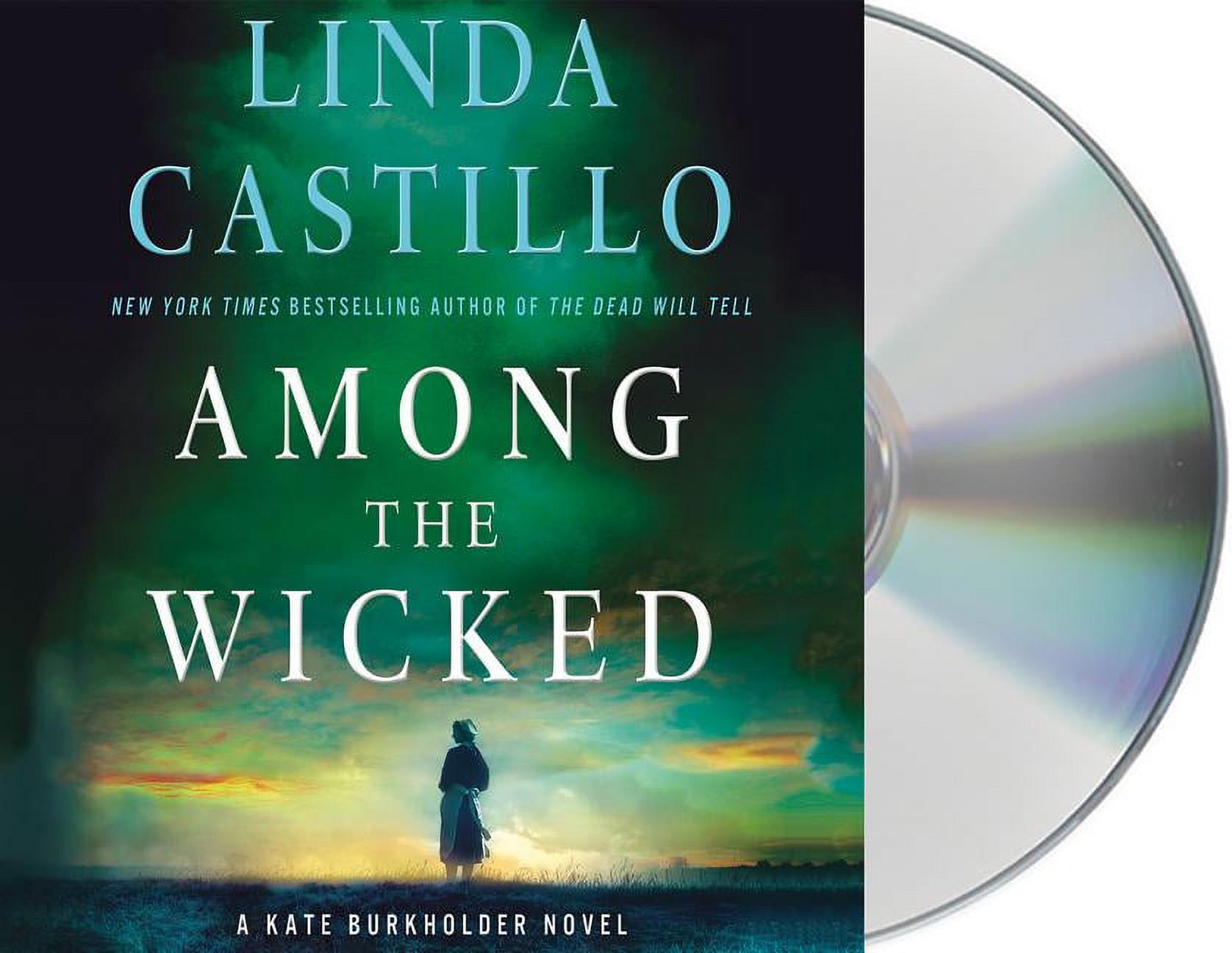 Kate Burkholder: Among the Wicked : A Kate Burkholder Novel (Series #8 ...