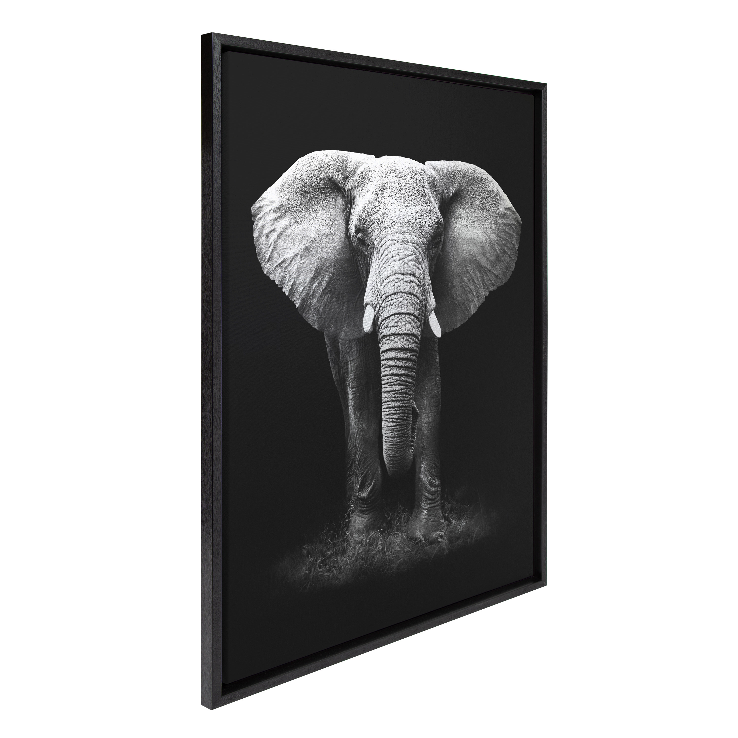 Kate and Laurel Sylvie African Elephant Safari Wildlife Animal BW ...