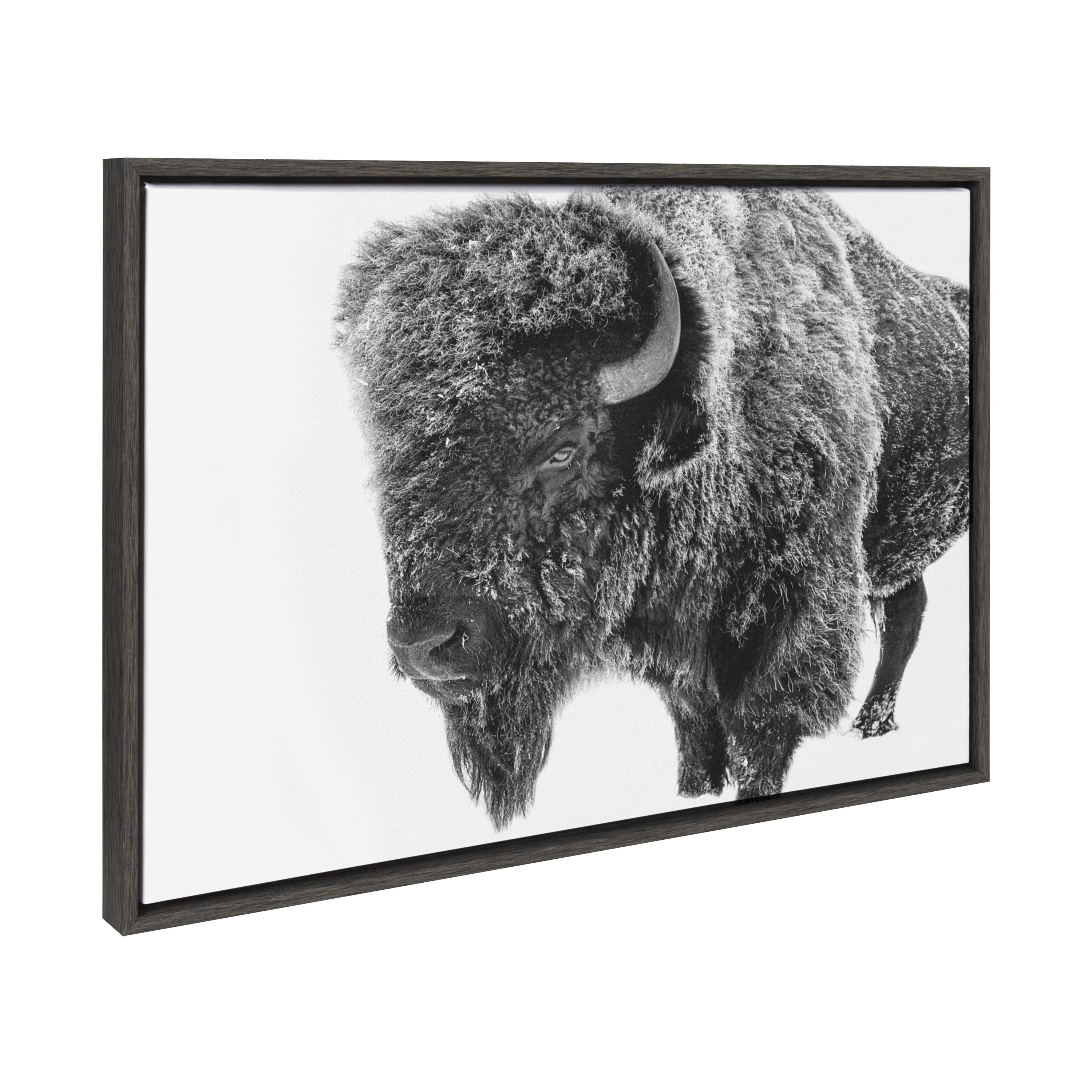 Kate and Laurel Sylvie Bison in Snow Black and White Framed Canvas Wall ...