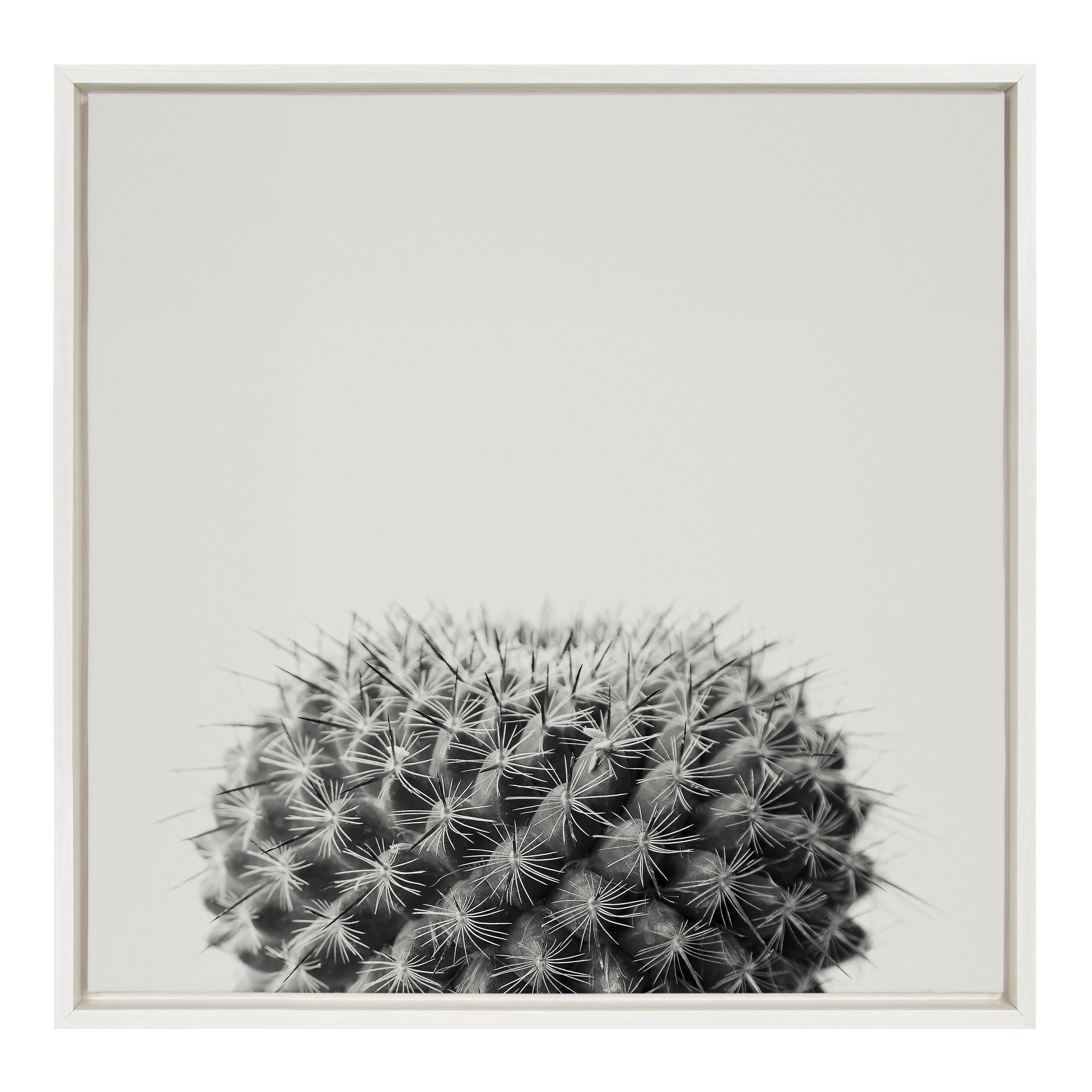Kate and Laurel Sylvie Haze Succulent Cactus Short Framed Canvas Wall ...