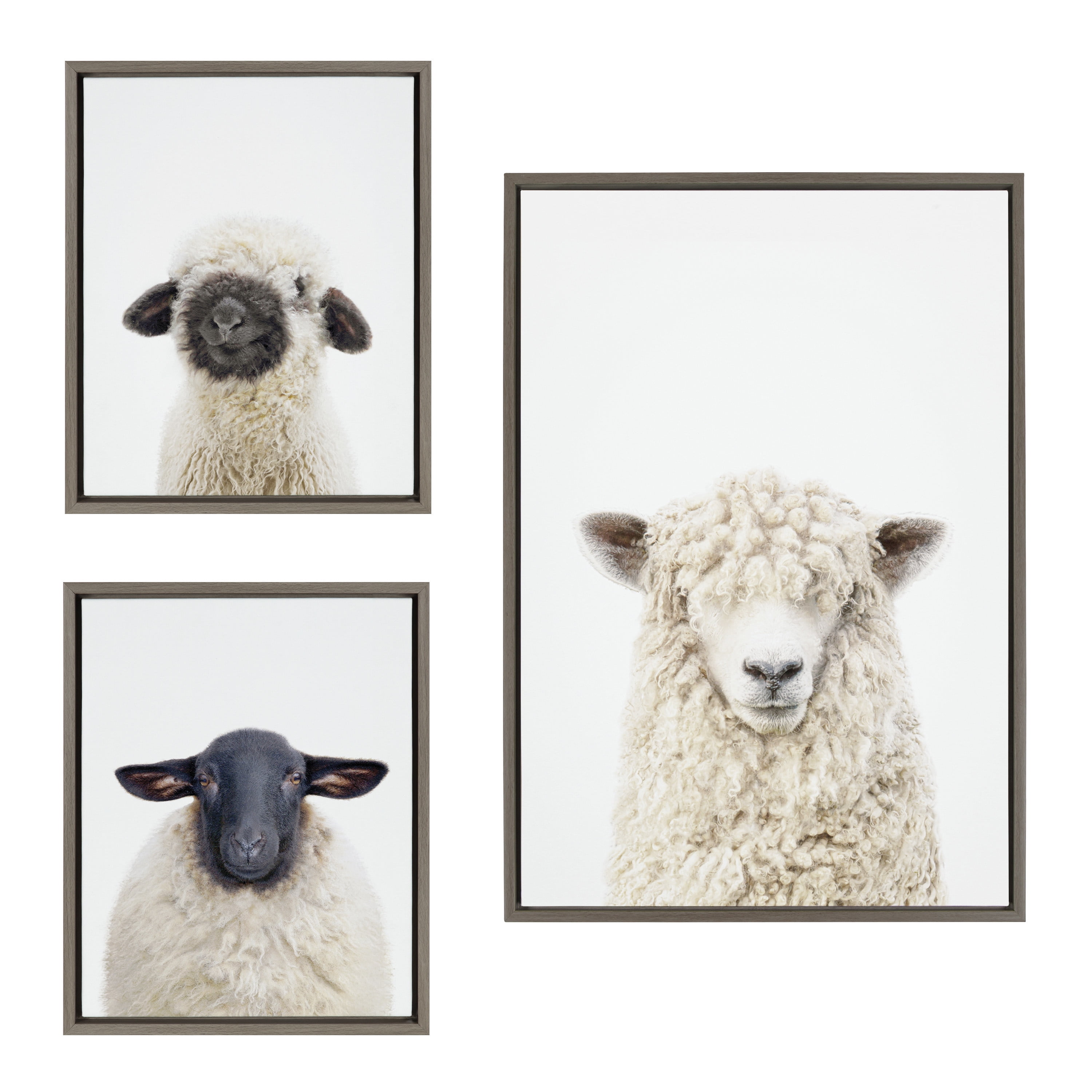Kate and Laurel Sylvie Sheep Bangs Portrait, Animal Studio Black Nosed ...