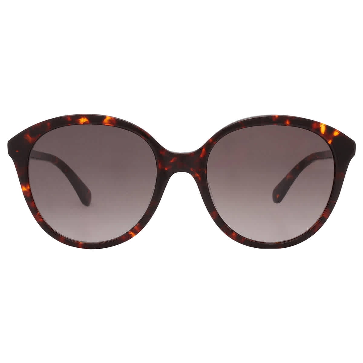 Kate Spade BRIA/G/S 0086HA 55mm Round Sunglasses for Women's Havana ...