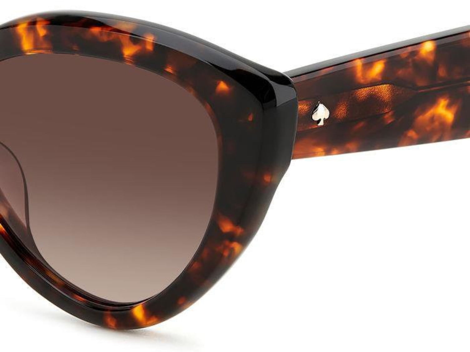 Kate Spade JUNI/G/S 0086 HA Women's Havana Full Rim Sunglasses ...