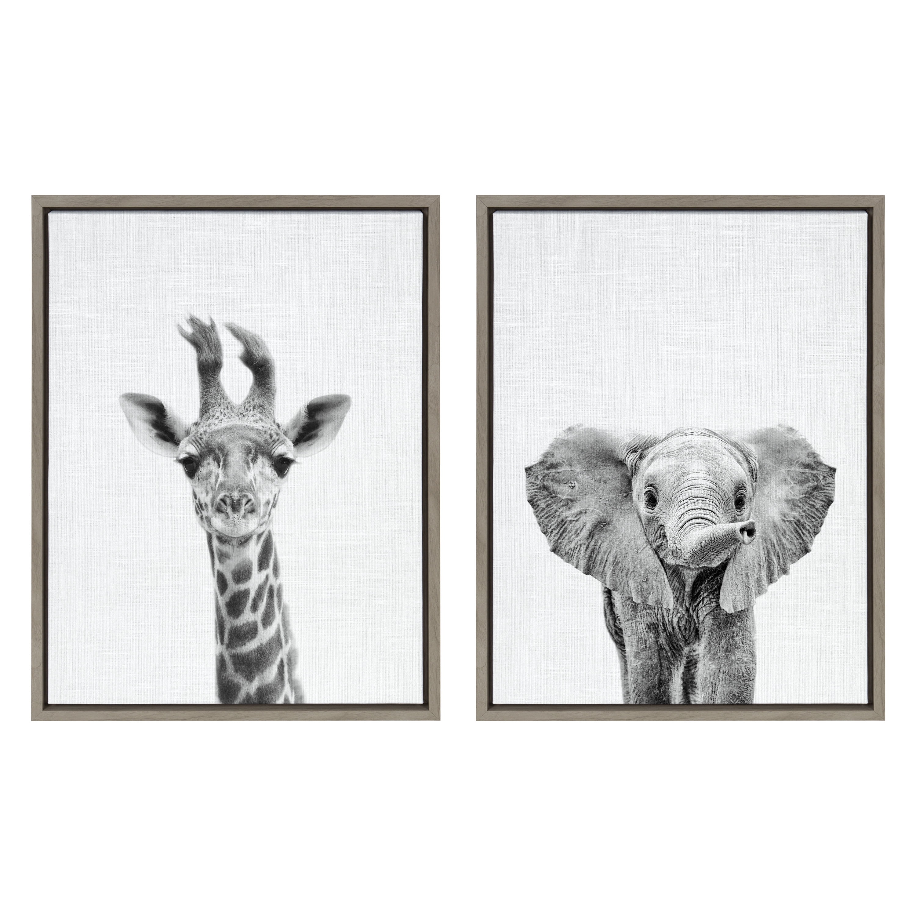 Kate and Laurel Animals/Insects Framed Canvas Art Prints, 18 in x 24 in ...