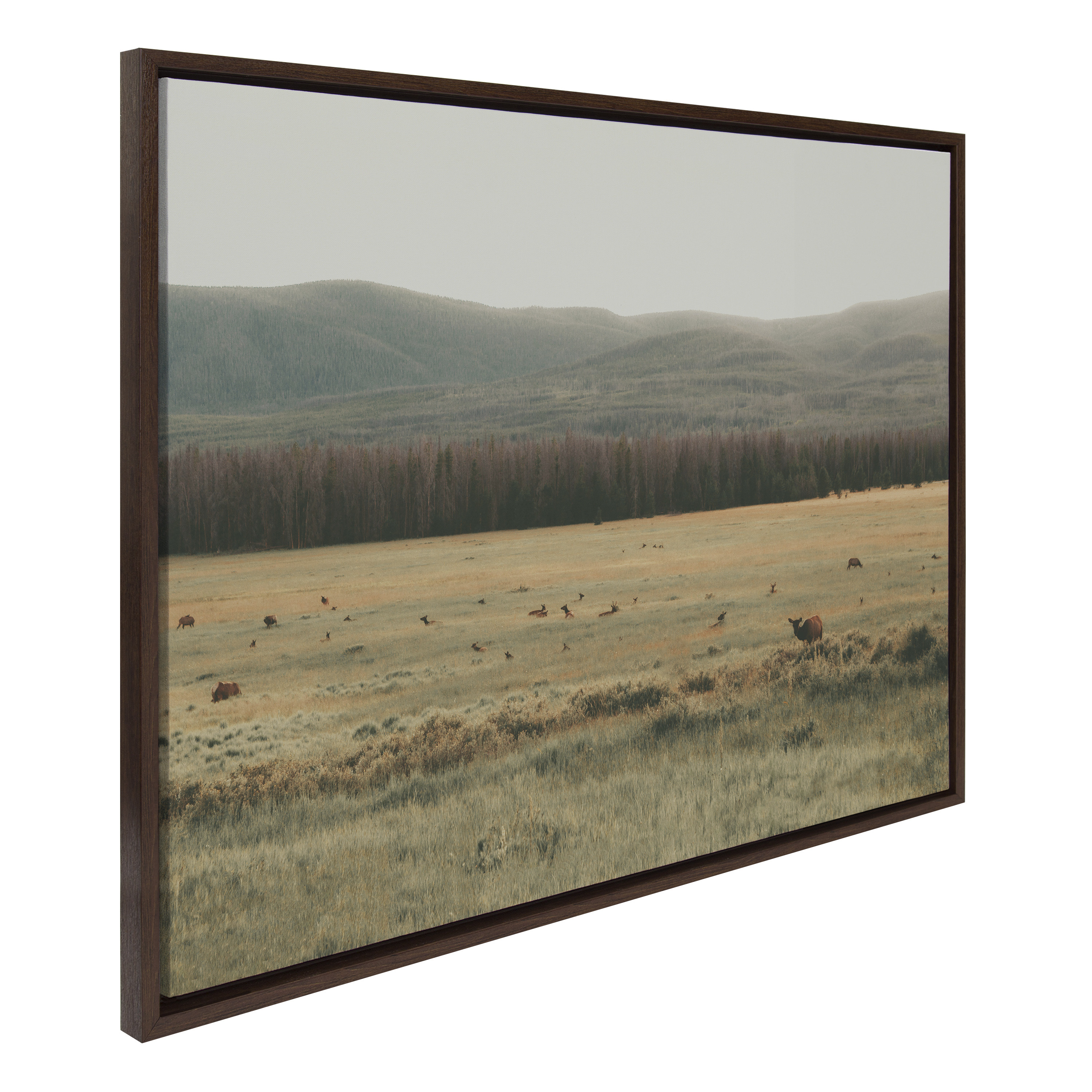 Kate and Laurel Sylvie AA On The Range Framed Canvas Wall Art by Alicia ...