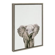 Elephant Gray Color