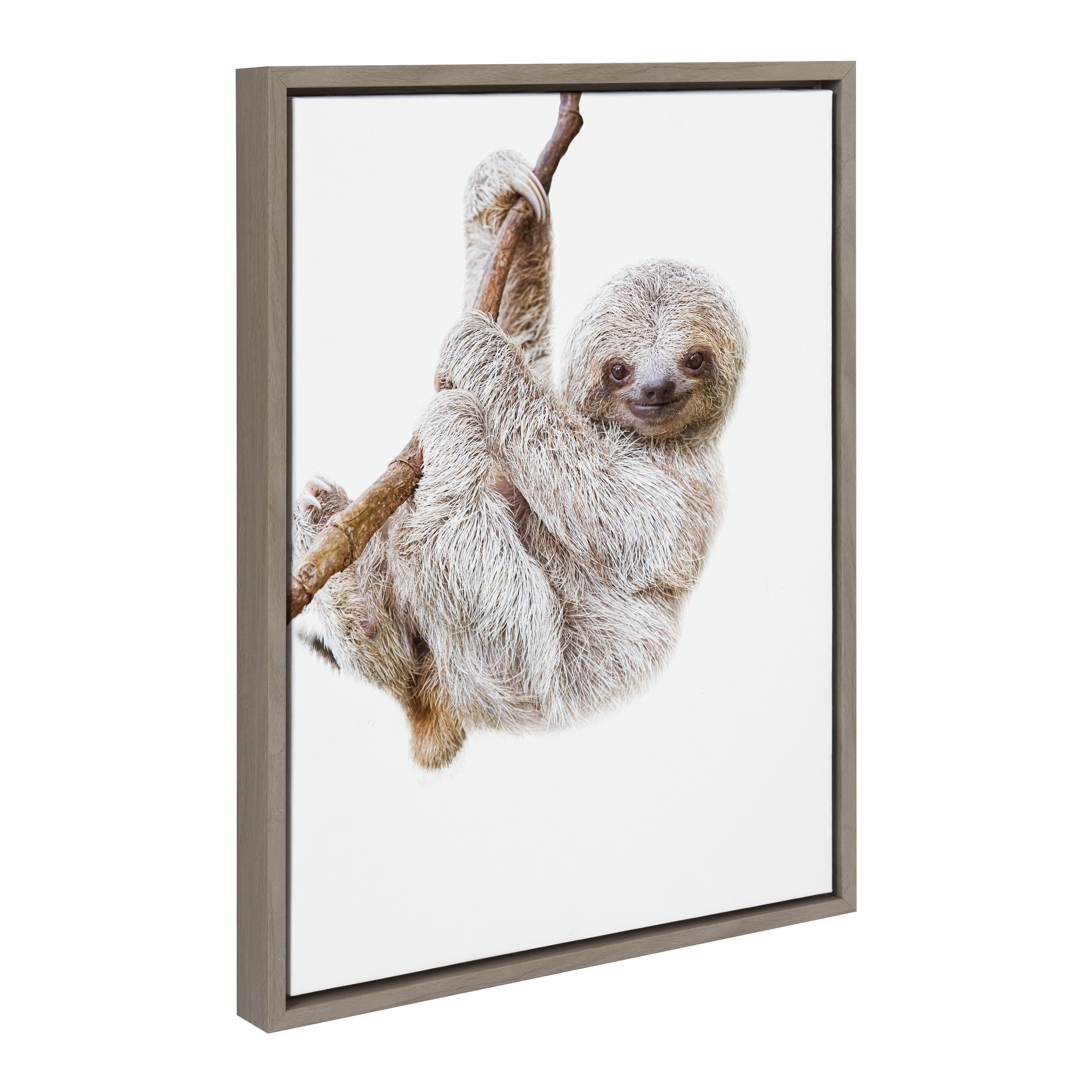 Kate and Laurel Sylvie Baby Sloth Hanging Around Framed Canvas Wall Art ...