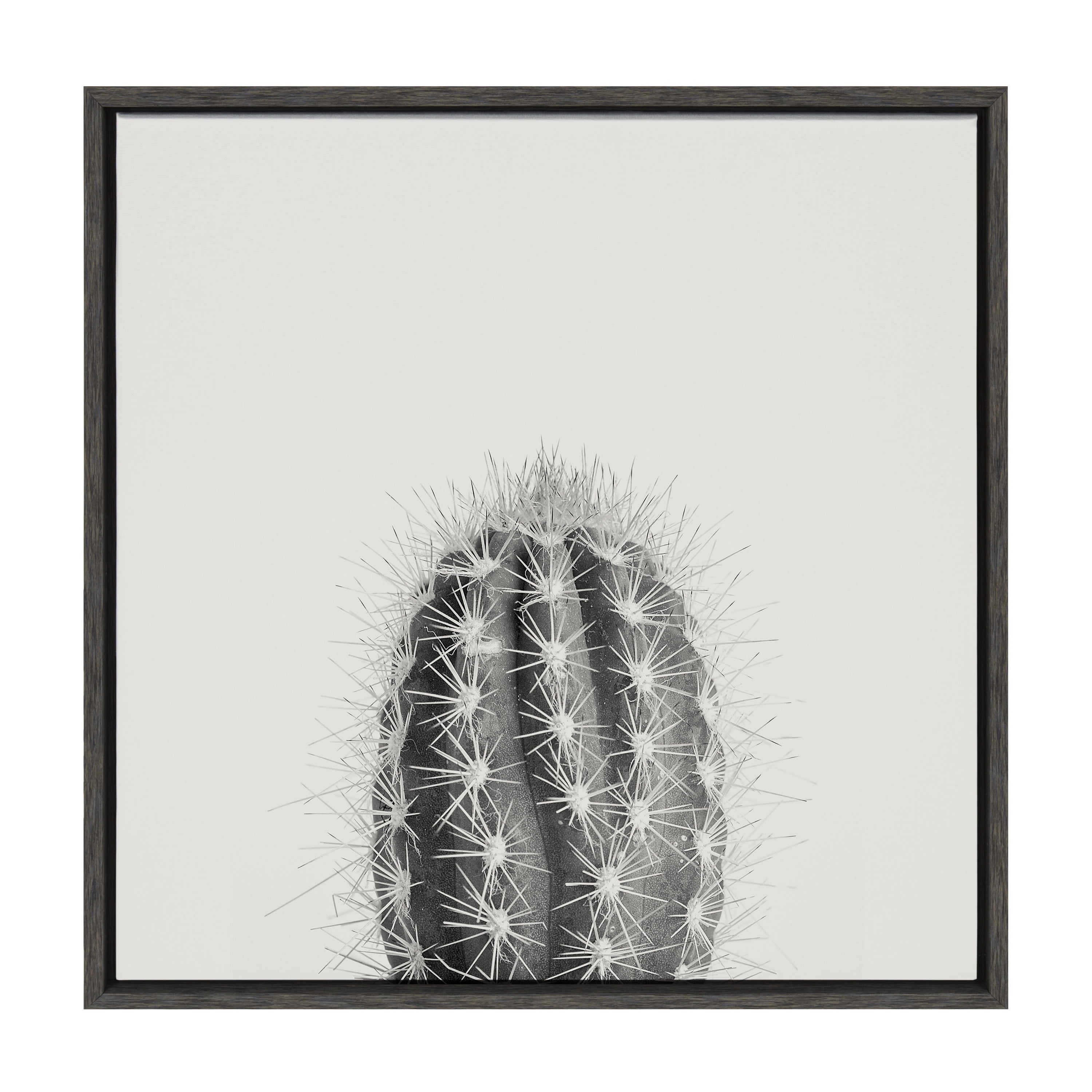 Kate and Laurel Sylvie Haze Cactus Succulent Tall Framed Canvas Wall ...