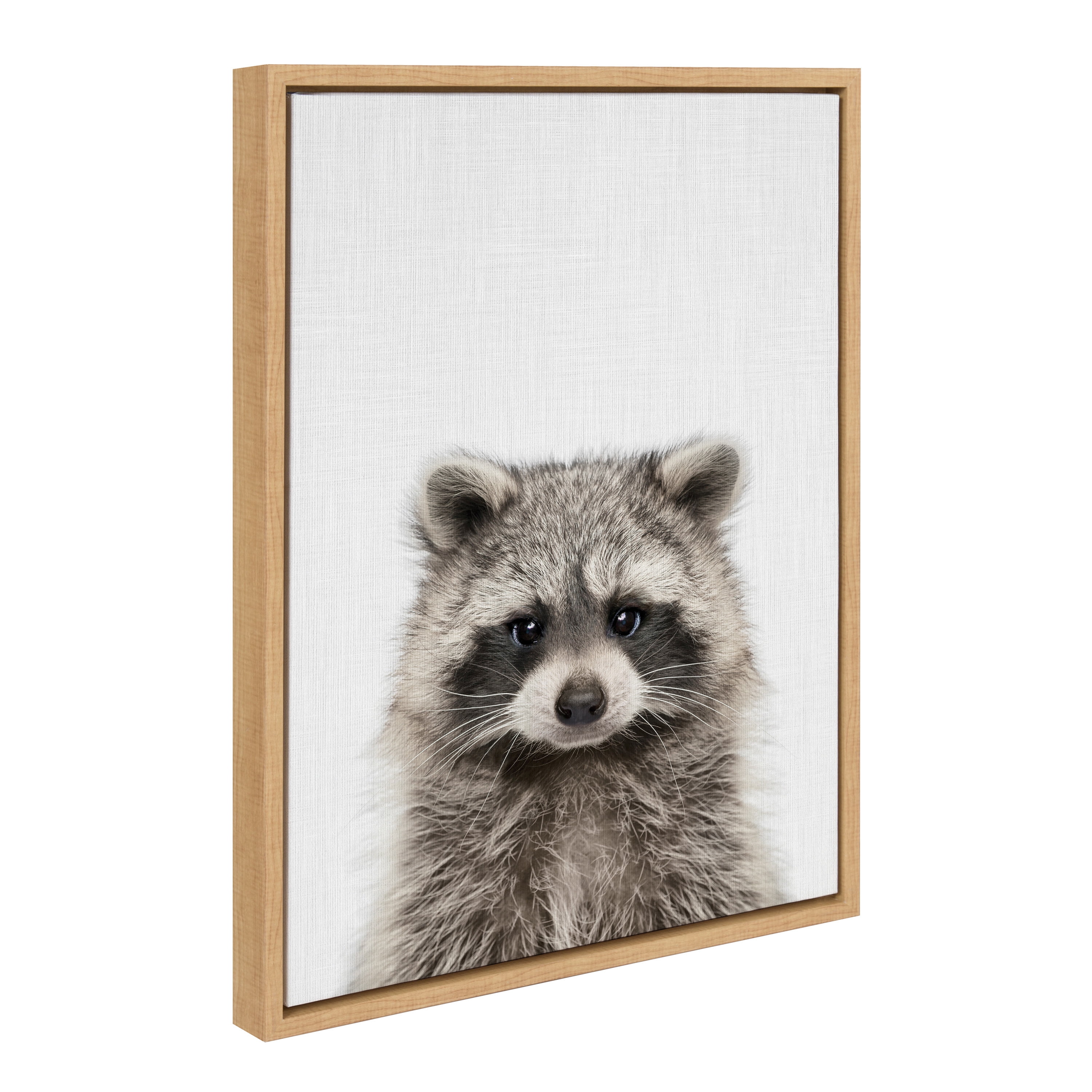 Kate and Laurel Sylvie Raccoon Color Framed Canvas Wall Art by Simon Te ...