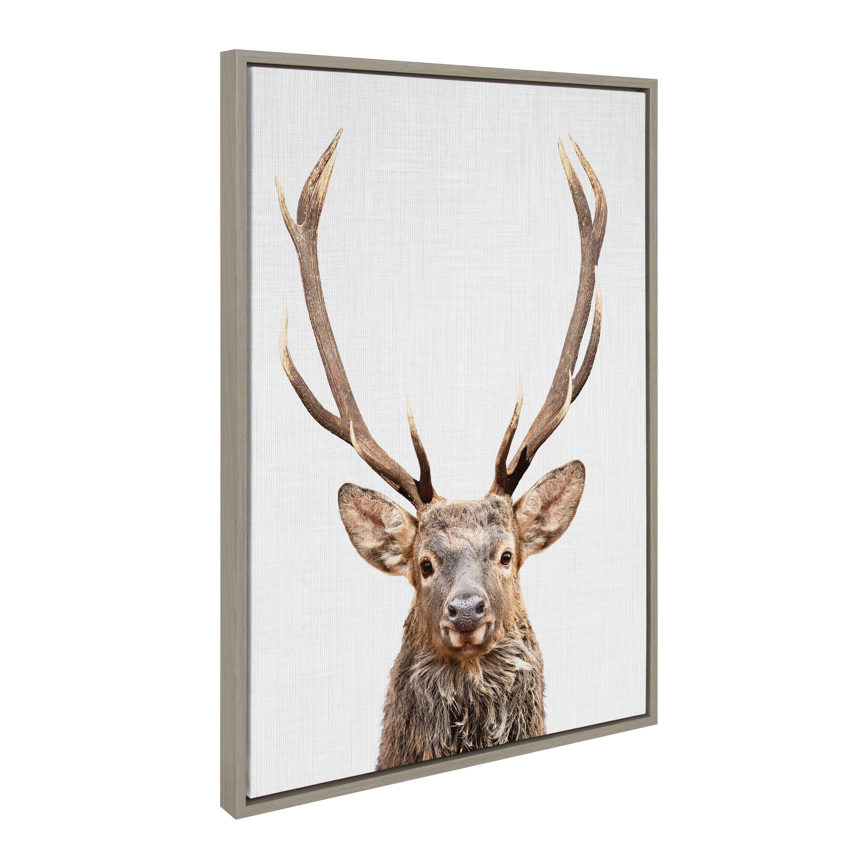 Kate and Laurel Sylvie The Red Deer Color Framed Canvas Wall Art by ...