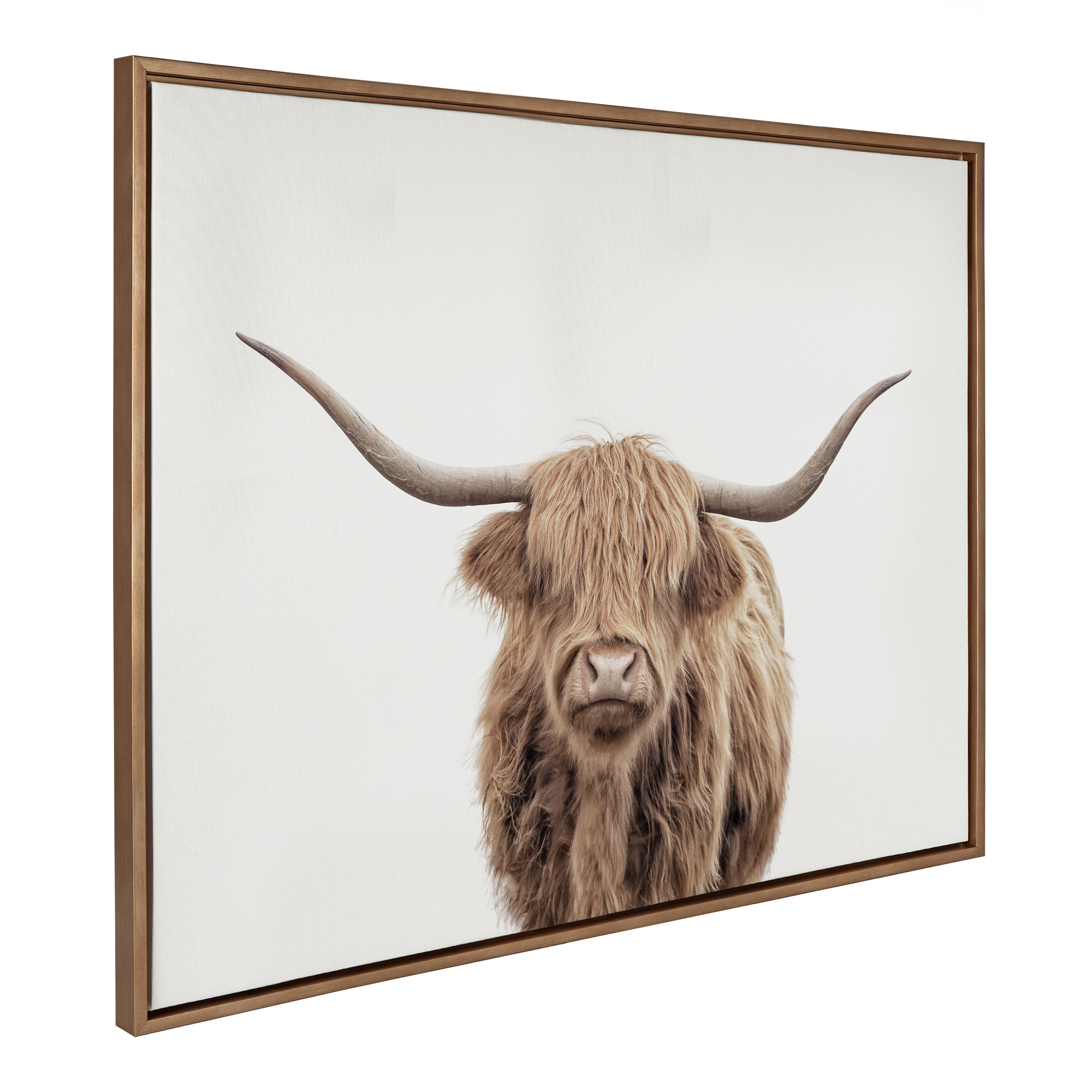 Kate and Laurel Sylvie This is Randall Framed Canvas Wall Art by Amy ...