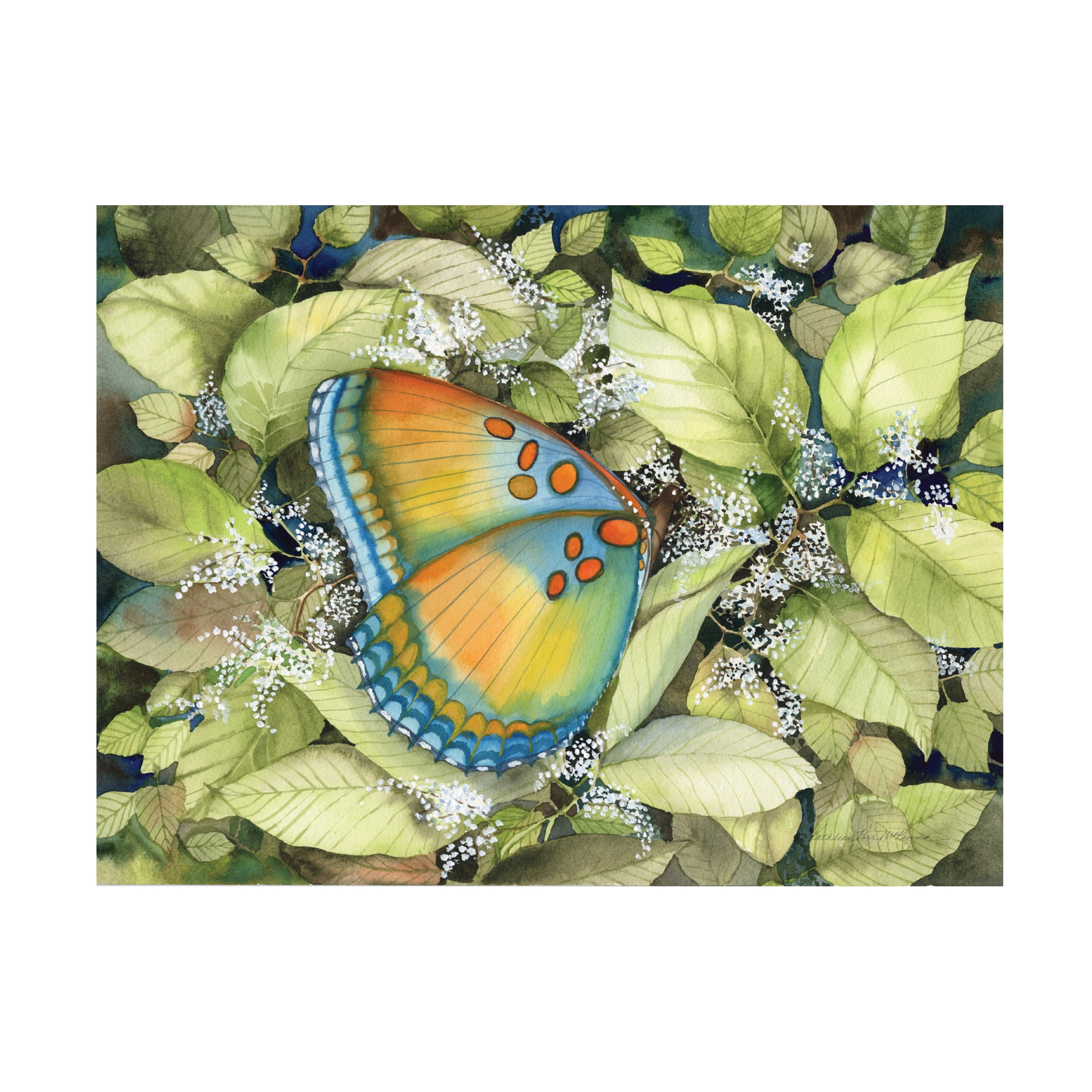 Kathleen Parr McKenna 'Royal Butterfly' Canvas Art - Walmart.com