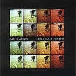 Pre-Owned Kathryn Williams Little Black Numbers (2000) - Walmart.com