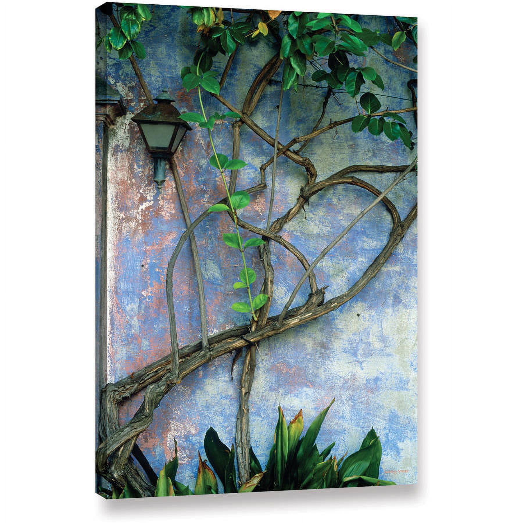 Kathy Yates "Vine And Wall" Canvas Art - Walmart.com