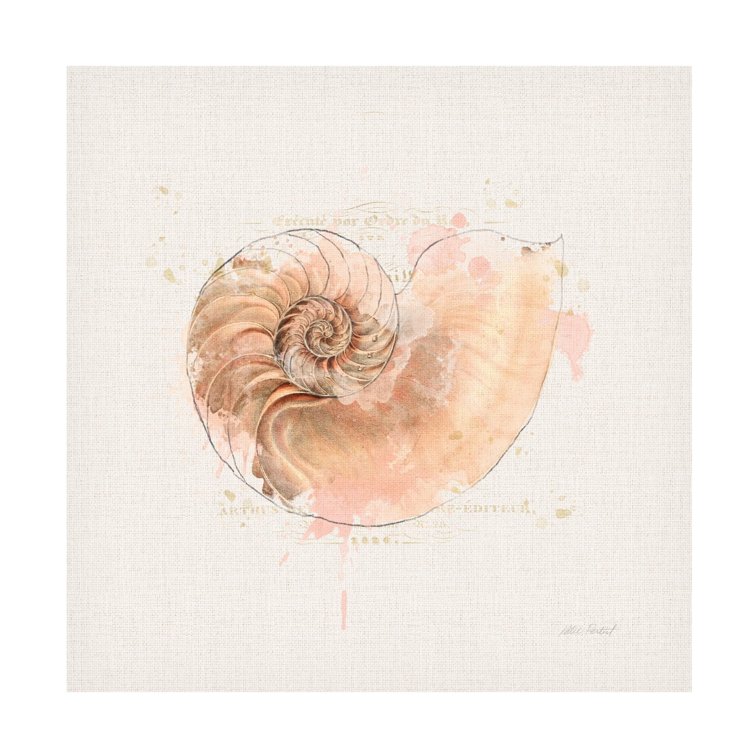Katie Pertiet 'Shell Collector II' Canvas Art - Walmart Business Supplies