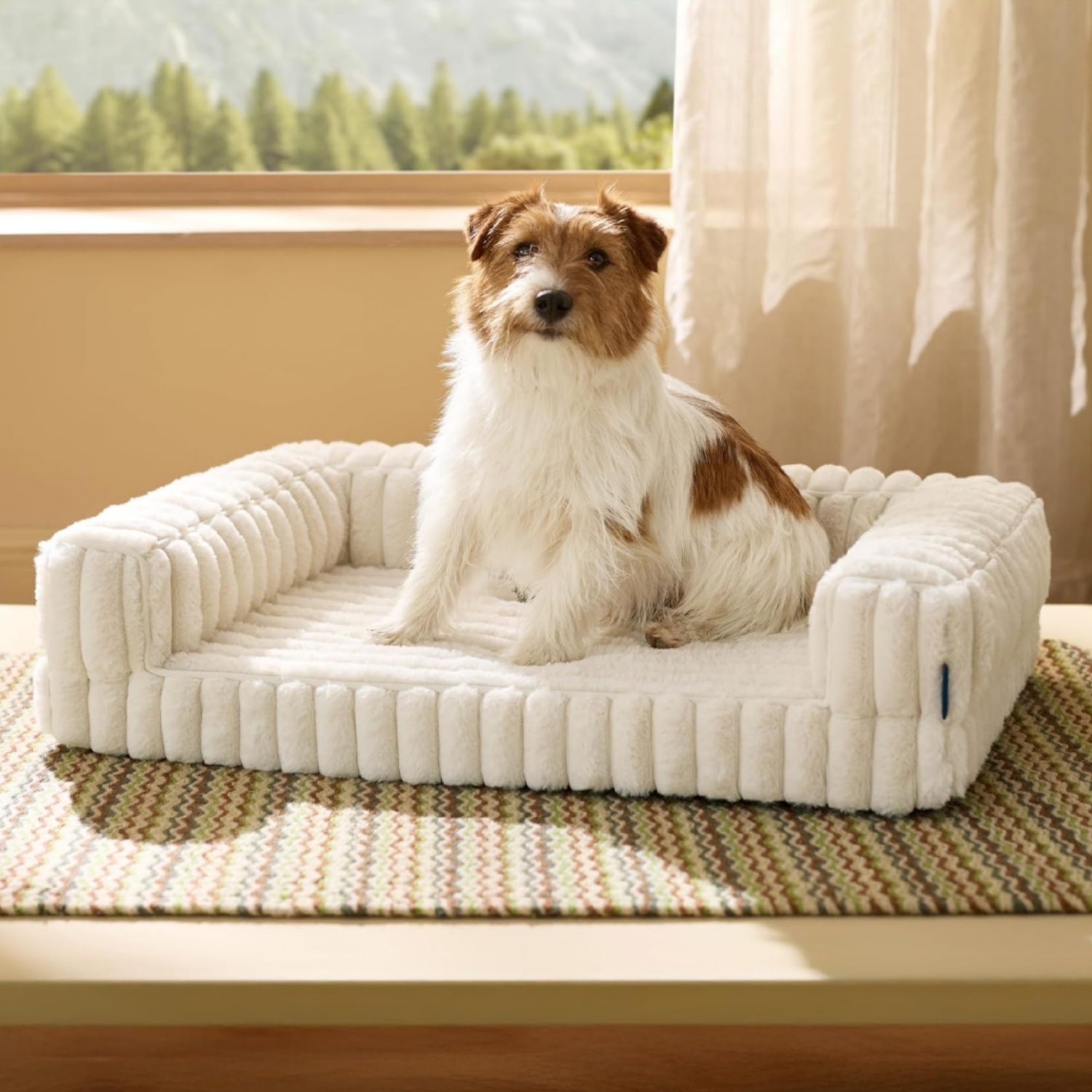 Katieovy Orthopedic Dog Beds for Large Dog,32 inch Removable Washable ...