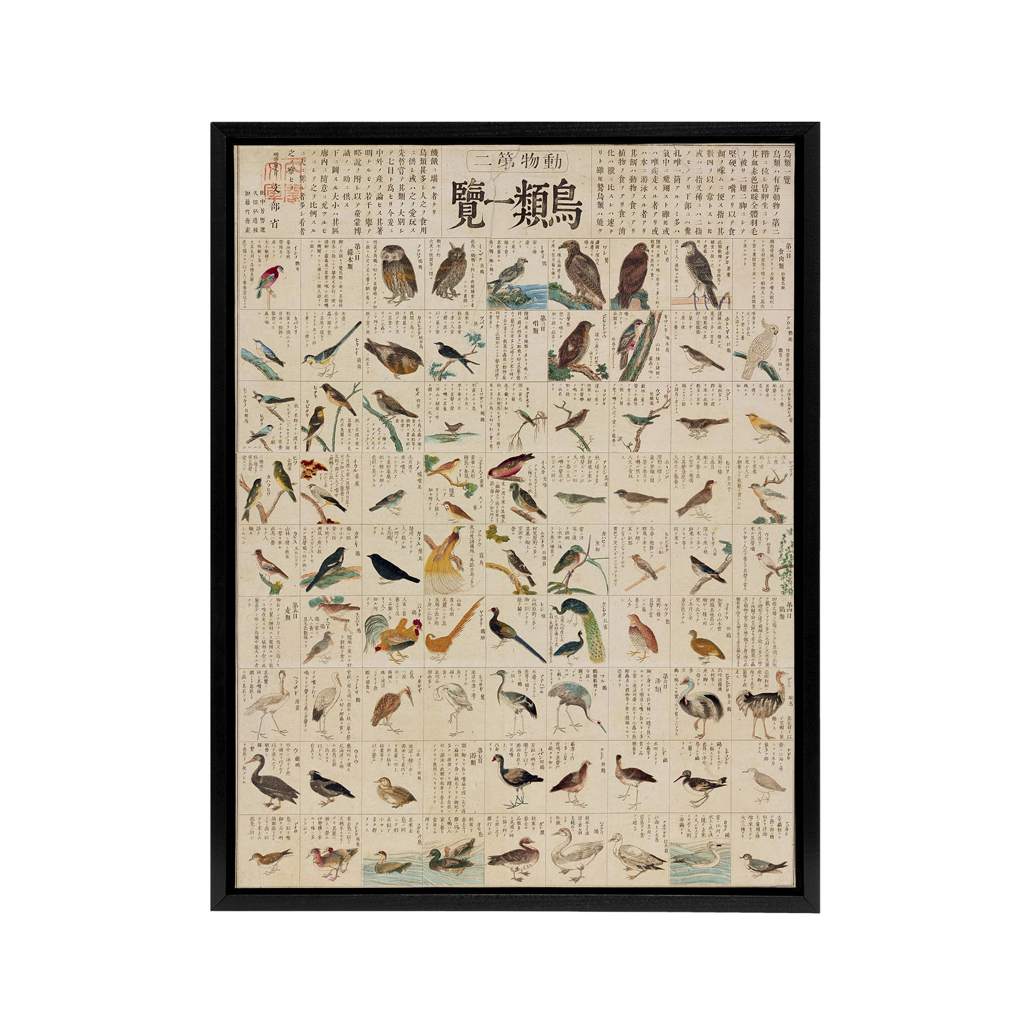 Kato Chikusai Japan Birds Black Framed Canvas Wall Art Print 24X32 ...