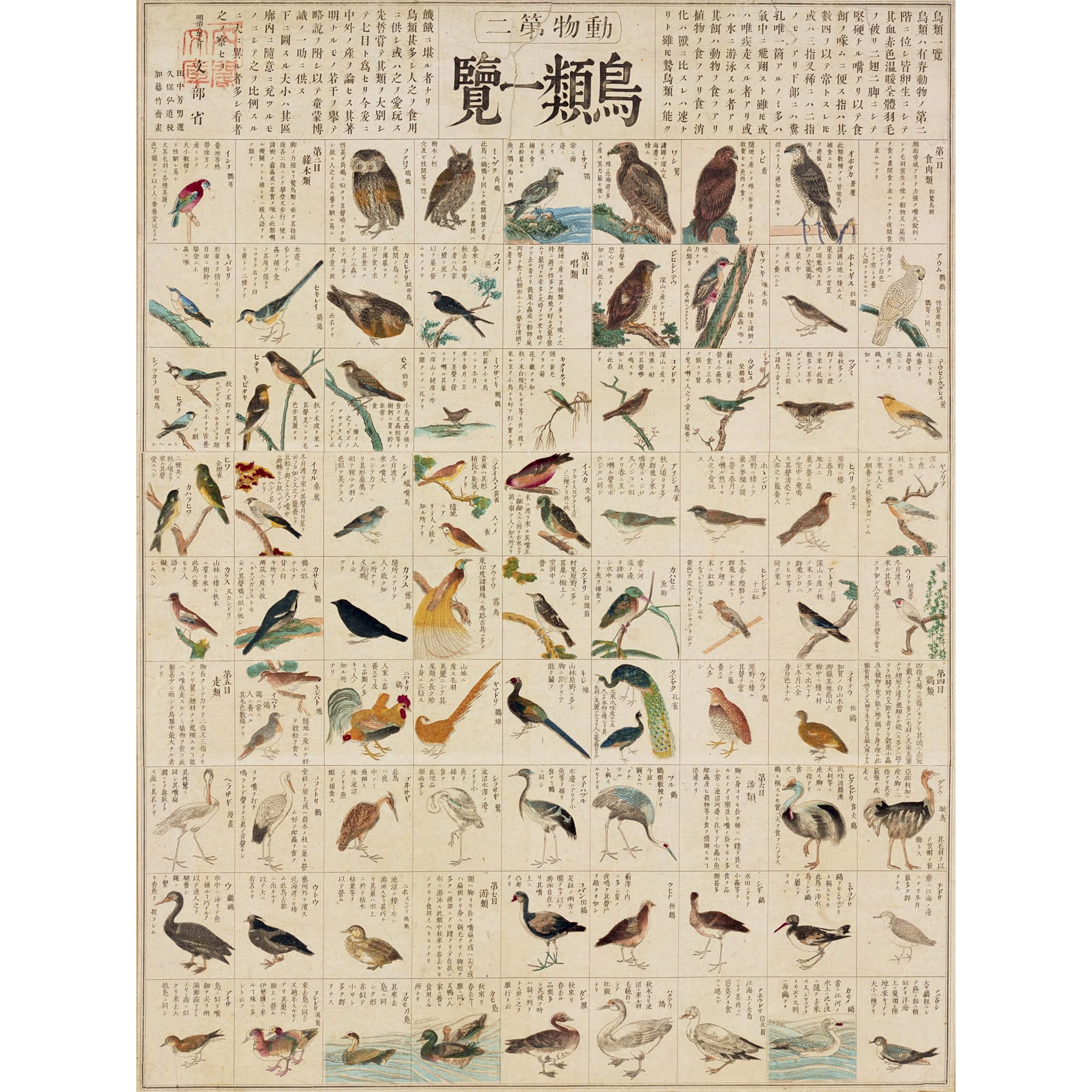 Kato Chikusai Species of Birds Japanese Extra Large XL Wall Art Poster ...