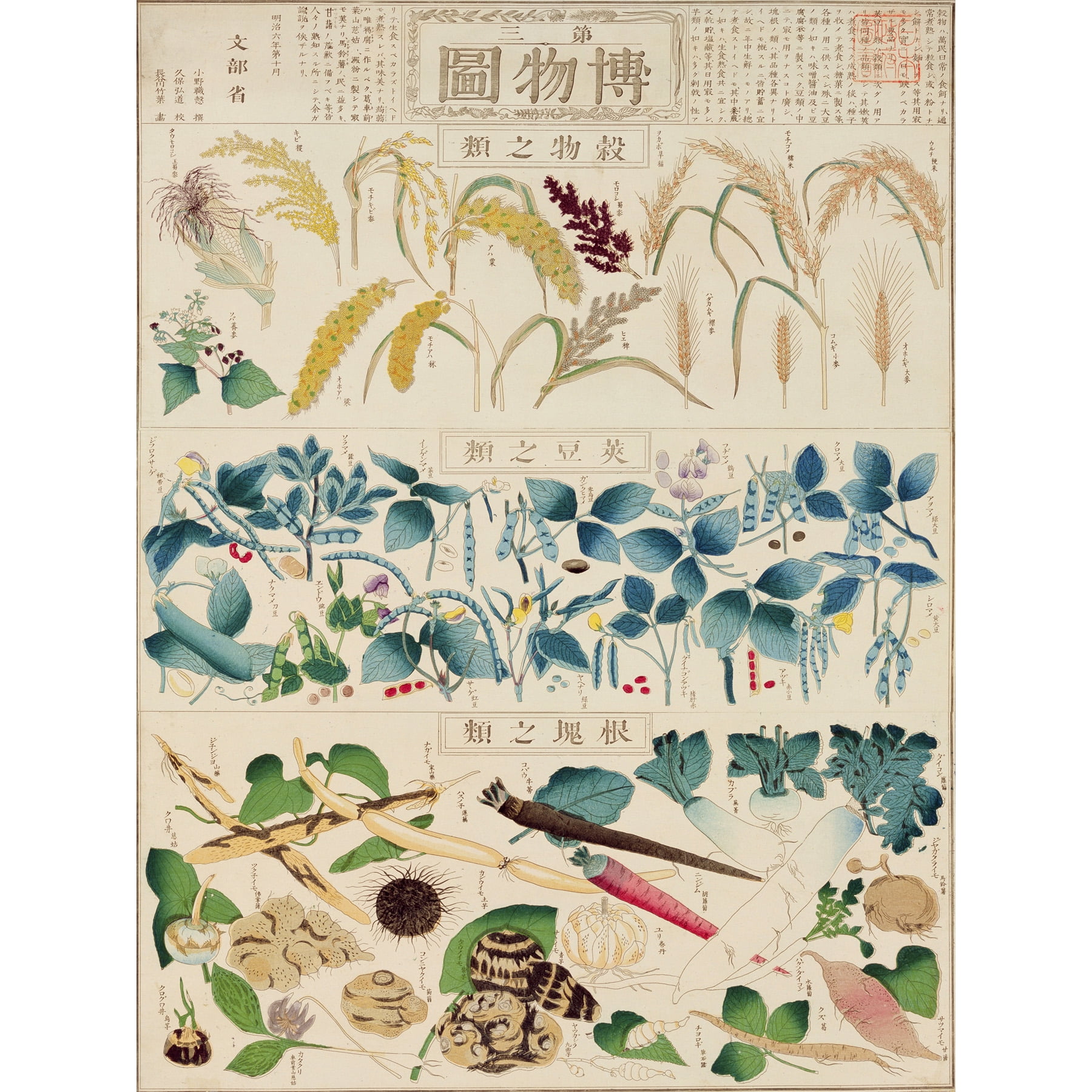 Kato Chikusai Species of Flora Fauna Insects Japanese Extra Large XL ...