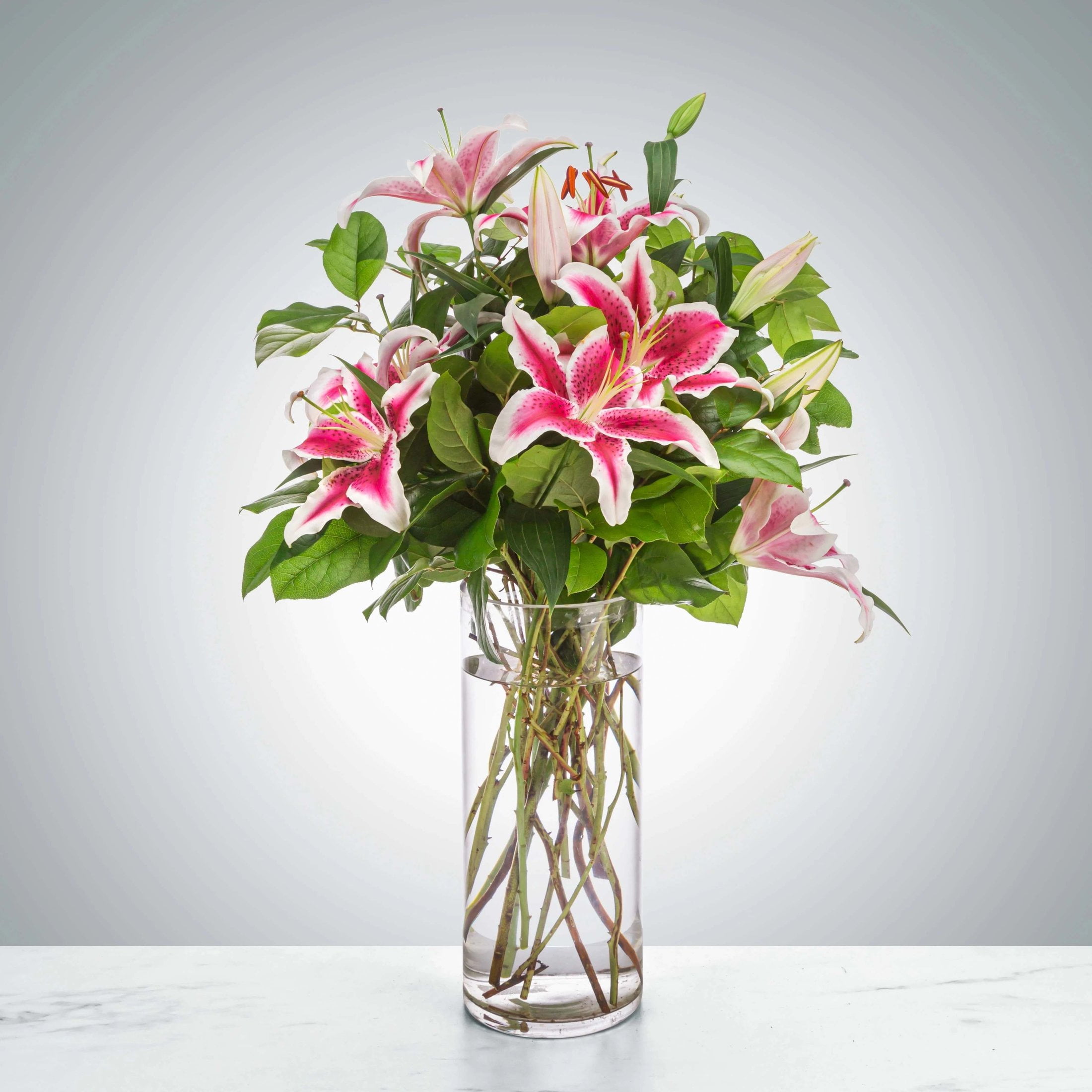 Katy Flower Shop Splendent Stargazers by BloomNation - Walmart.com