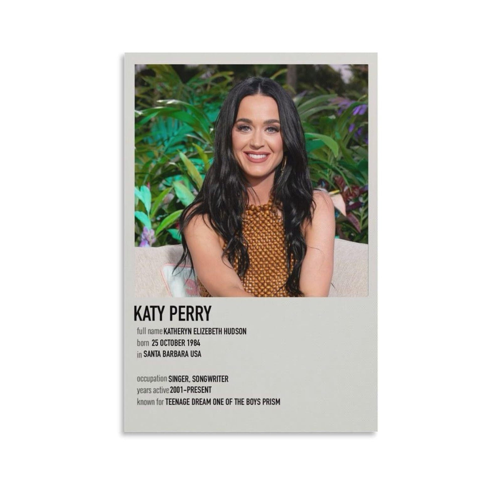 Katy Perry 19 Canvas Poster Bedroom Decoration Landscape Office ...