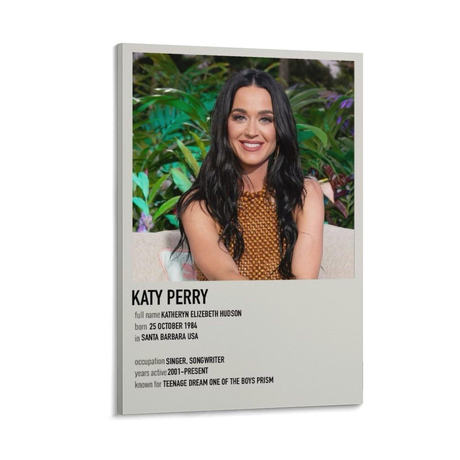 Katy Perry 19 Canvas Poster Bedroom Decoration Landscape Office ...