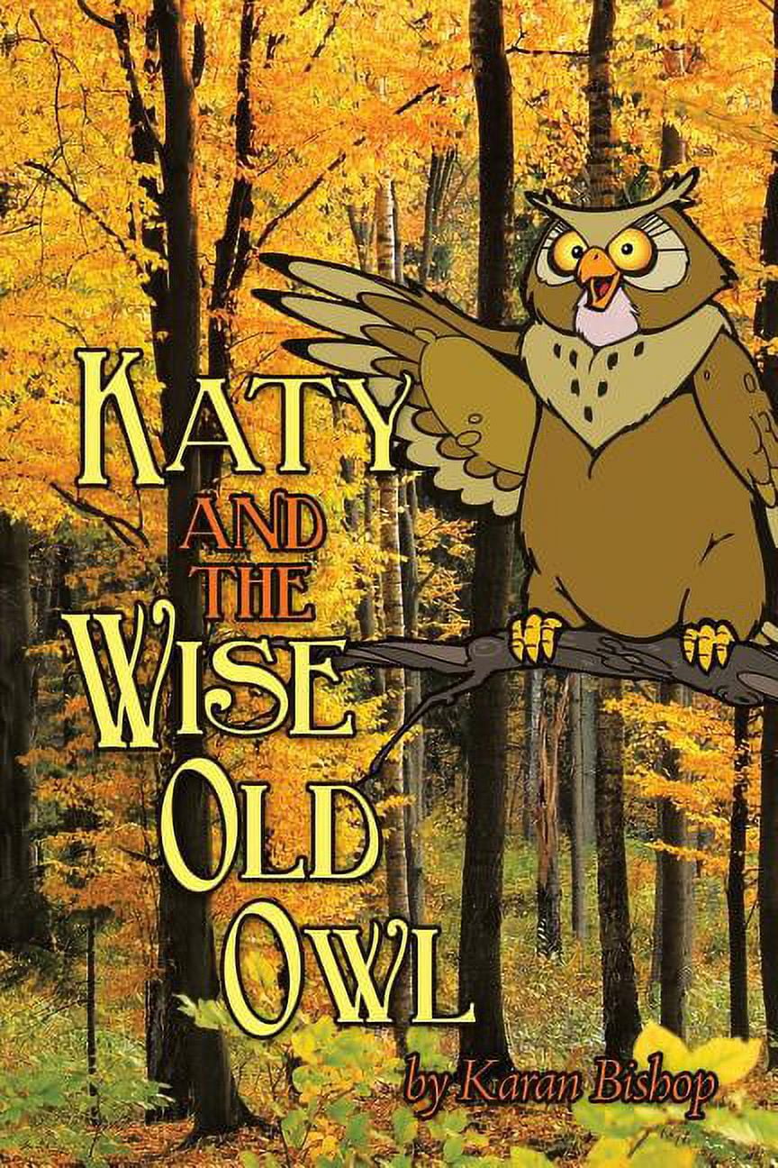 Katy and the Wise Old Owl - Walmart.com