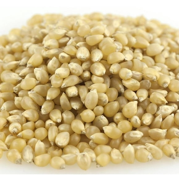 Popcorn Kernels 50 Lbs