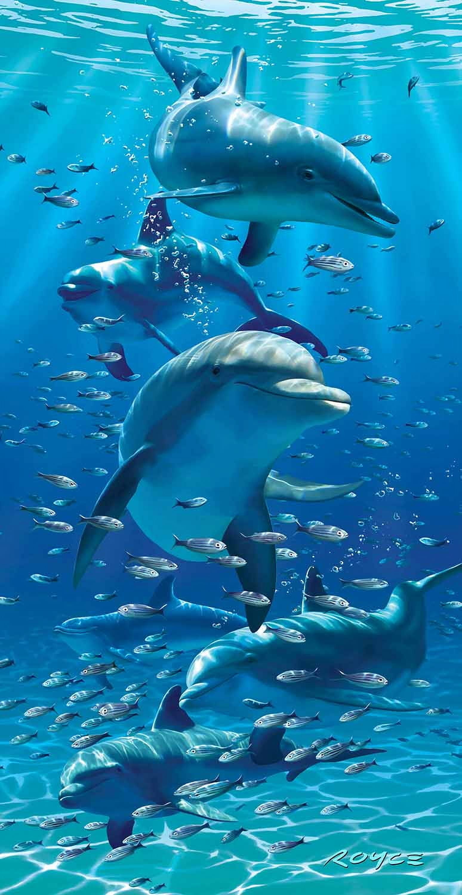 Kaufman - 30x60- Printed Beach, Pool Towel - Twister Dolphins - Walmart.com