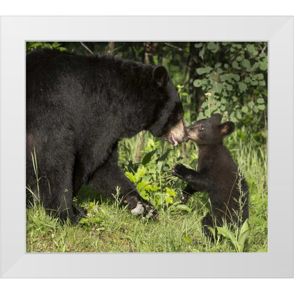 Kaveney, Wendy 13x12 White Modern Wood Framed Museum Art Print Titled ...