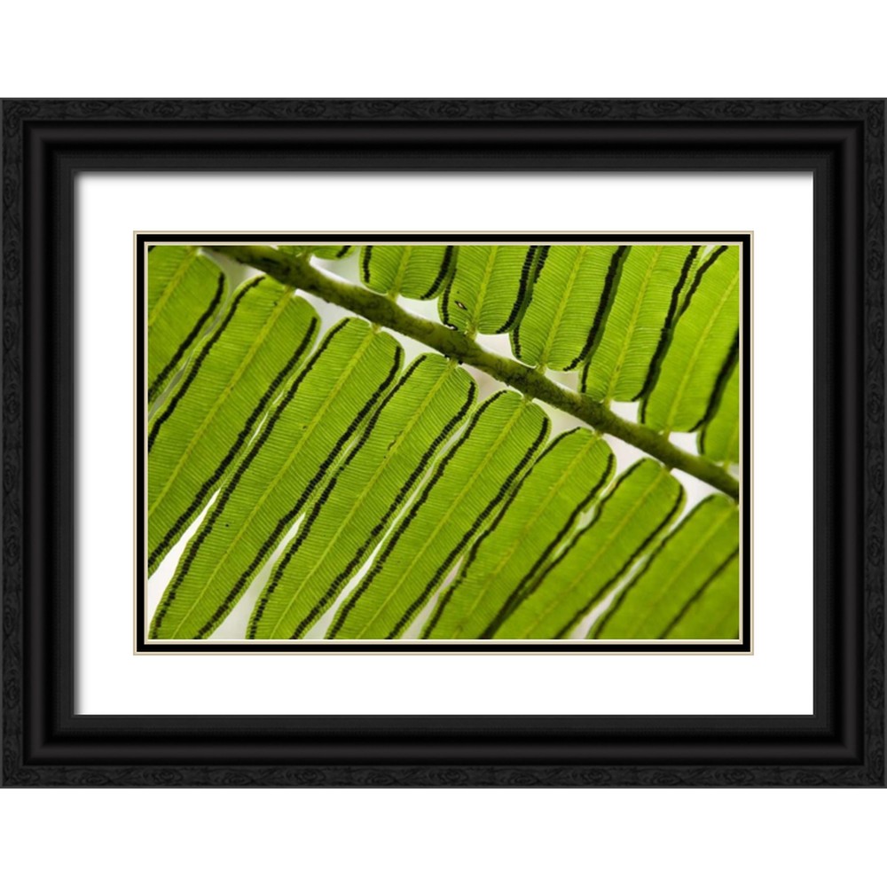 Kaveney, Wendy 14x11 Black Ornate Wood Framed with Double Matting ...