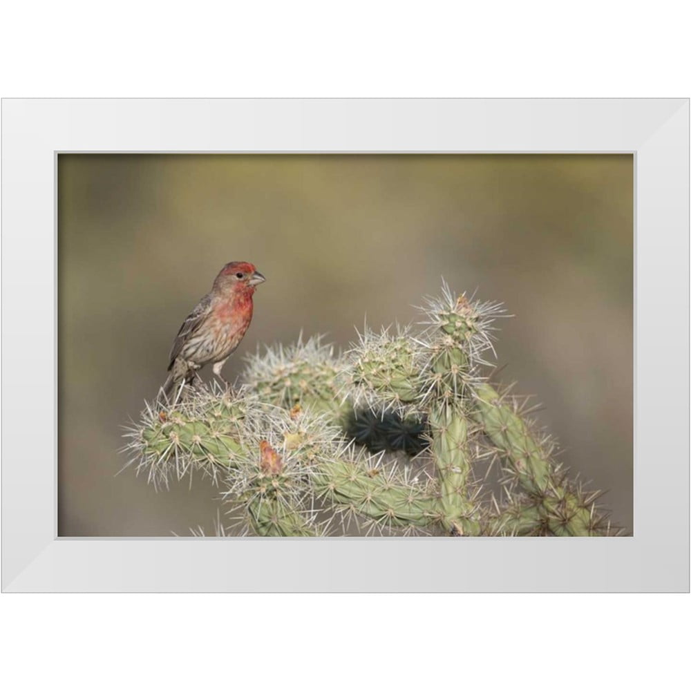 Kaveney, Wendy 14x11 White Modern Wood Framed Museum Art Print Titled ...
