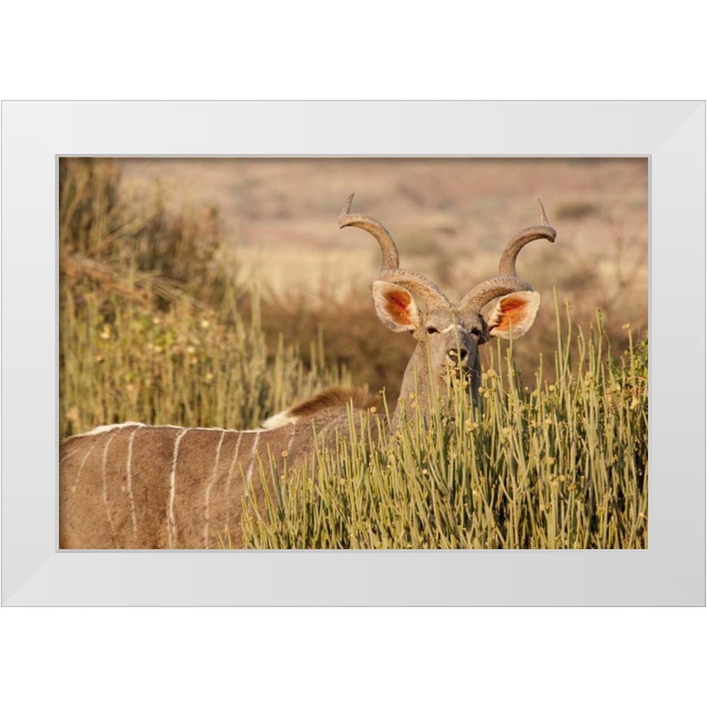 Kaveney, Wendy 14x11 White Modern Wood Framed Museum Art Print Titled ...