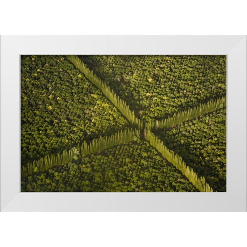 Kaveney, Wendy 14x11 White Modern Wood Framed Museum Art Print Titled ...