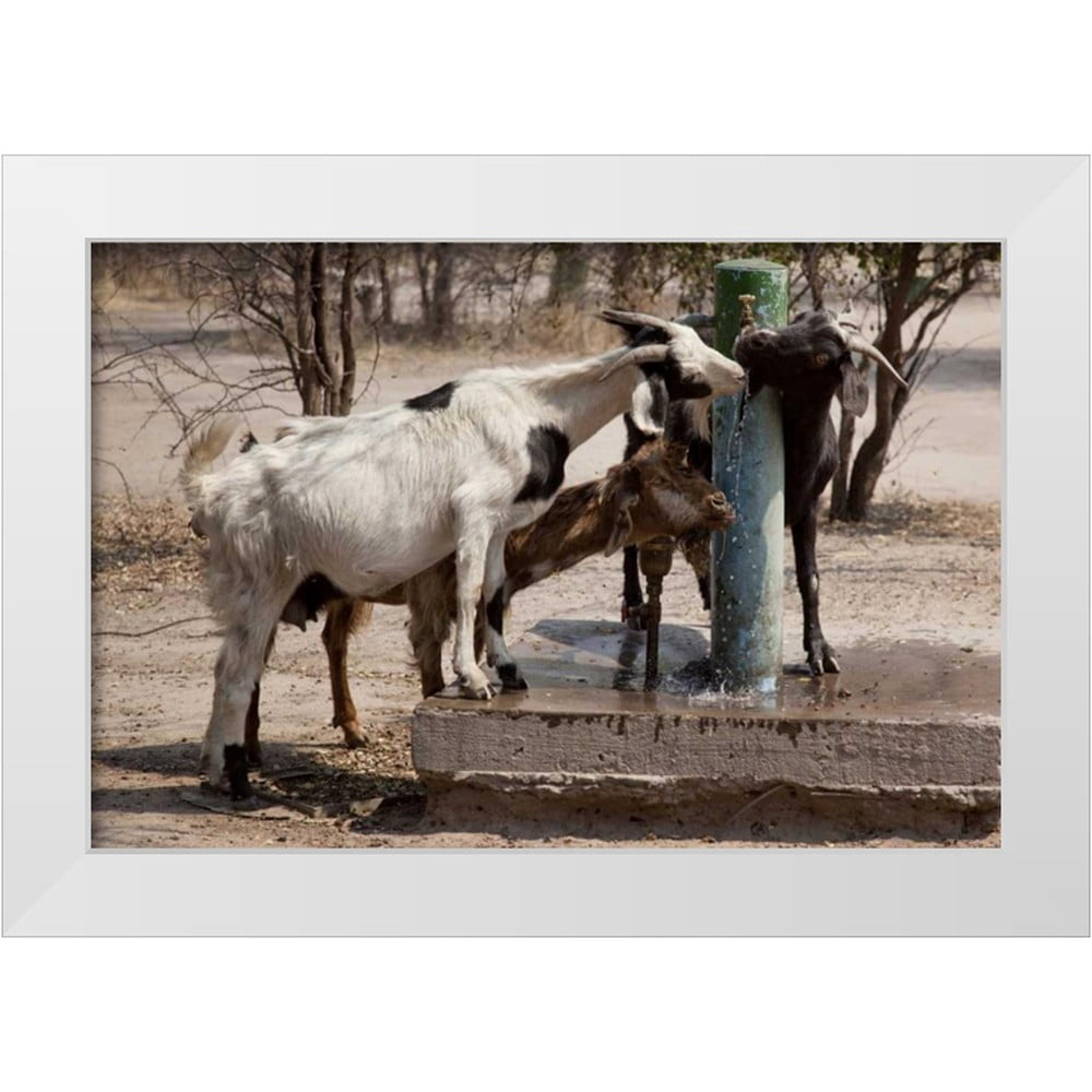 Kaveney, Wendy 18x13 White Modern Wood Framed Museum Art Print Titled ...