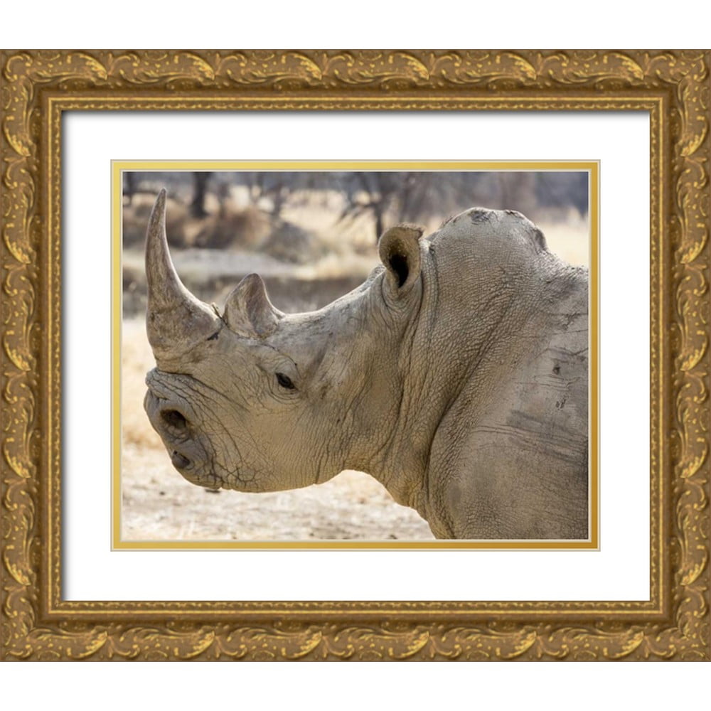 Kaveney, Wendy 18x15 Gold Ornate Wood Framed with Double Matting Museum Art Print Titled ...