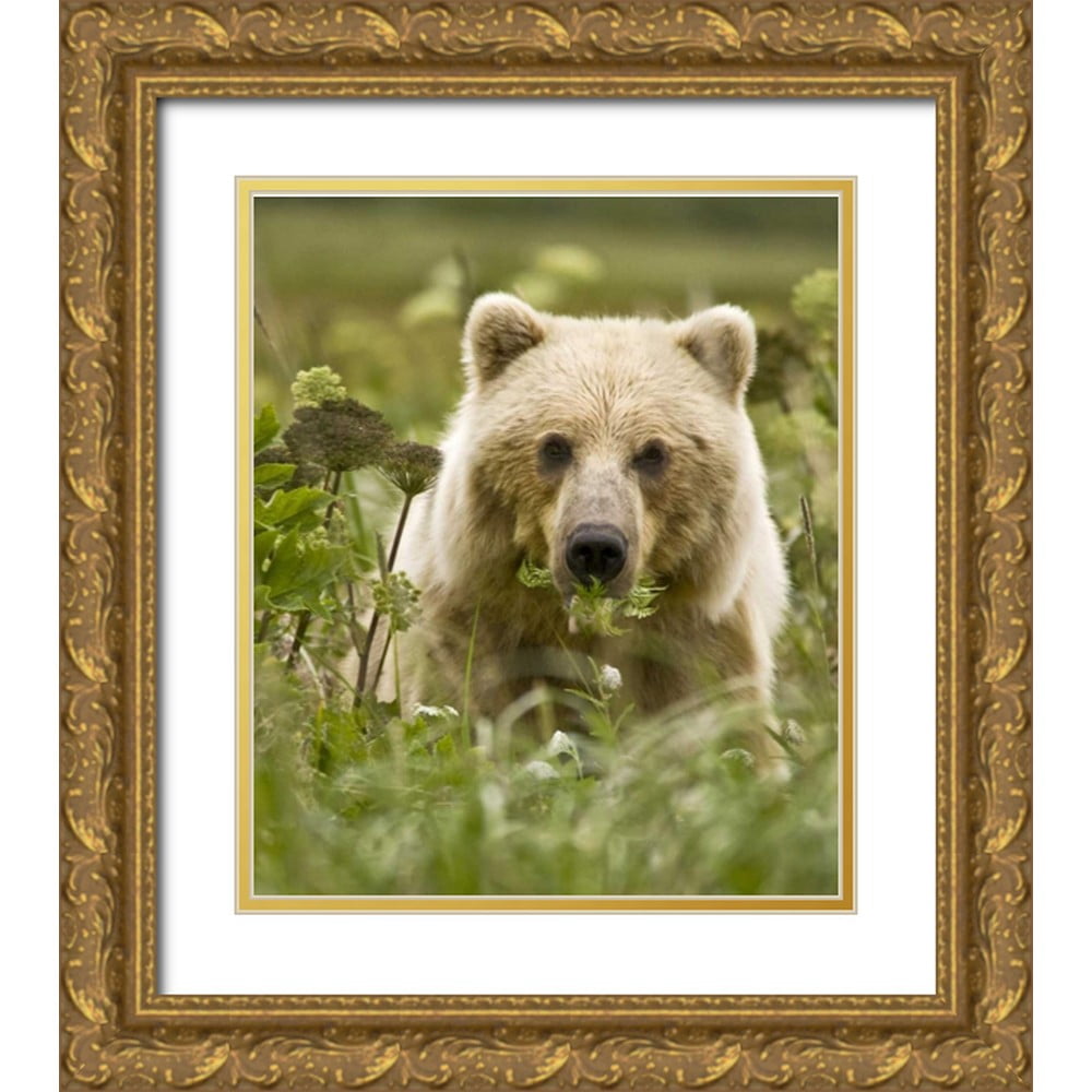 Kaveney, Wendy 20x23 Gold Ornate Wood Framed with Double Matting Museum ...