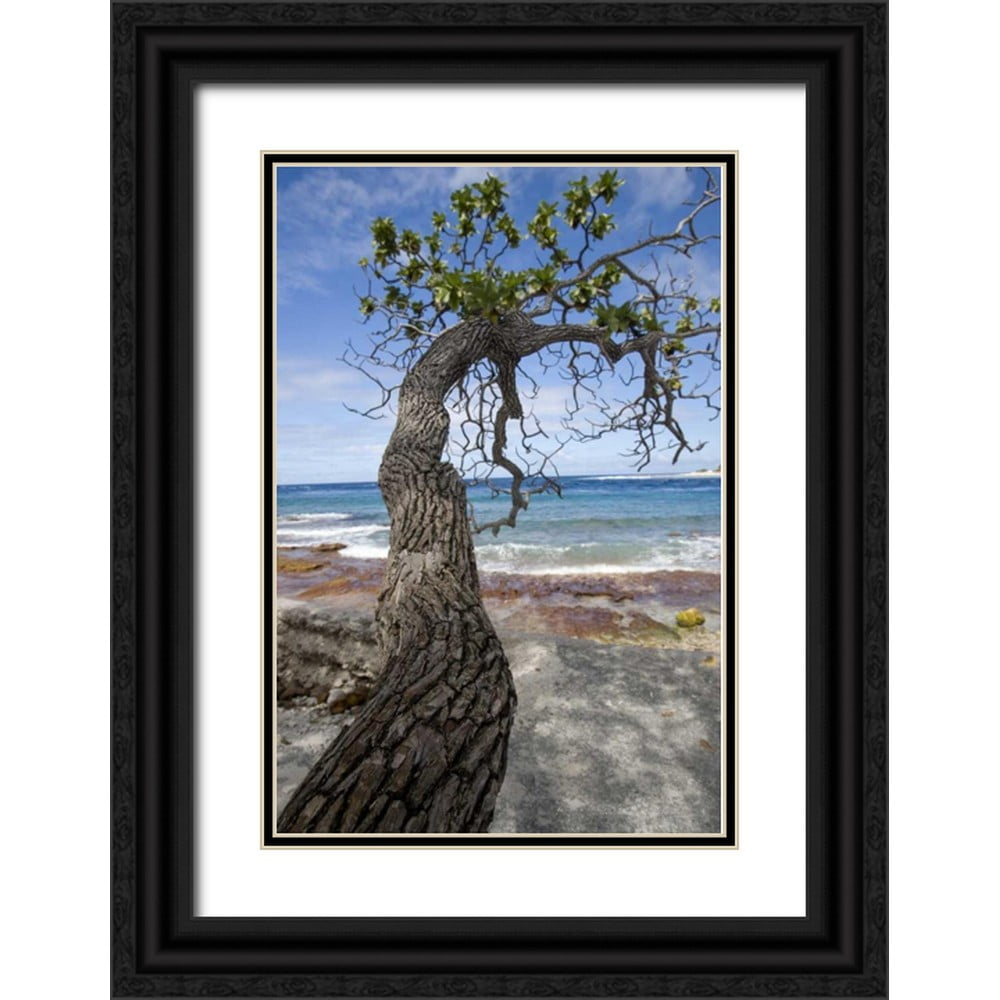 Kaveney, Wendy 23x32 Black Ornate Wood Framed with Double Matting ...