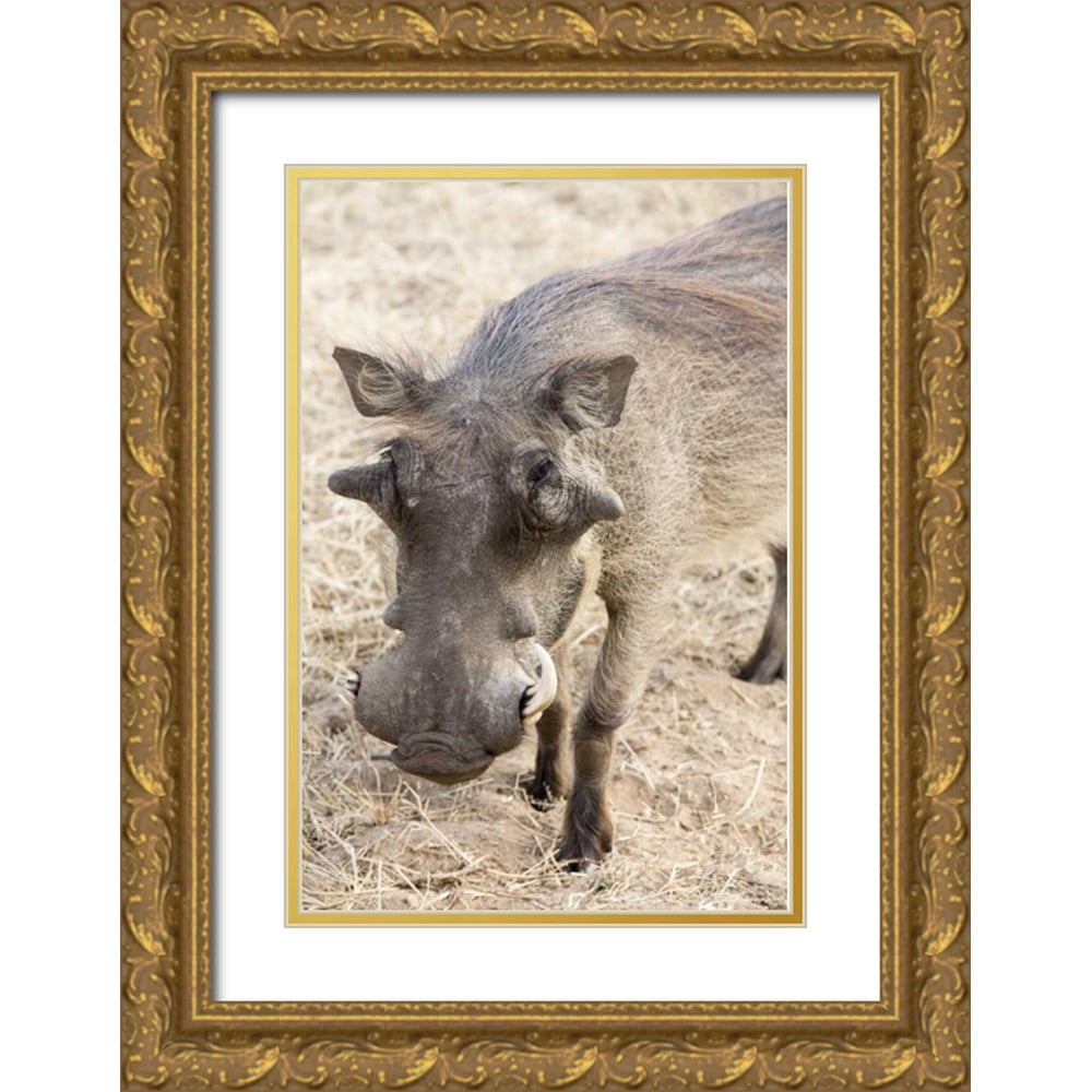 Kaveney, Wendy 23x32 Gold Ornate Wood Framed with Double Matting Museum Art Print Titled ...