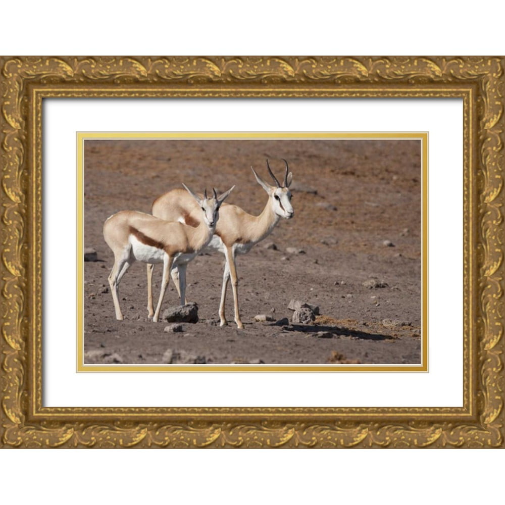 Kaveney, Wendy 24x17 Gold Ornate Wood Framed with Double Matting Museum ...