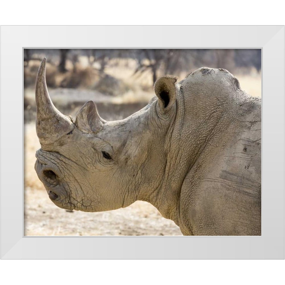 Kaveney, Wendy 24x20 White Modern Wood Framed Museum Art Print Titled - Namibia, Windhoek ...