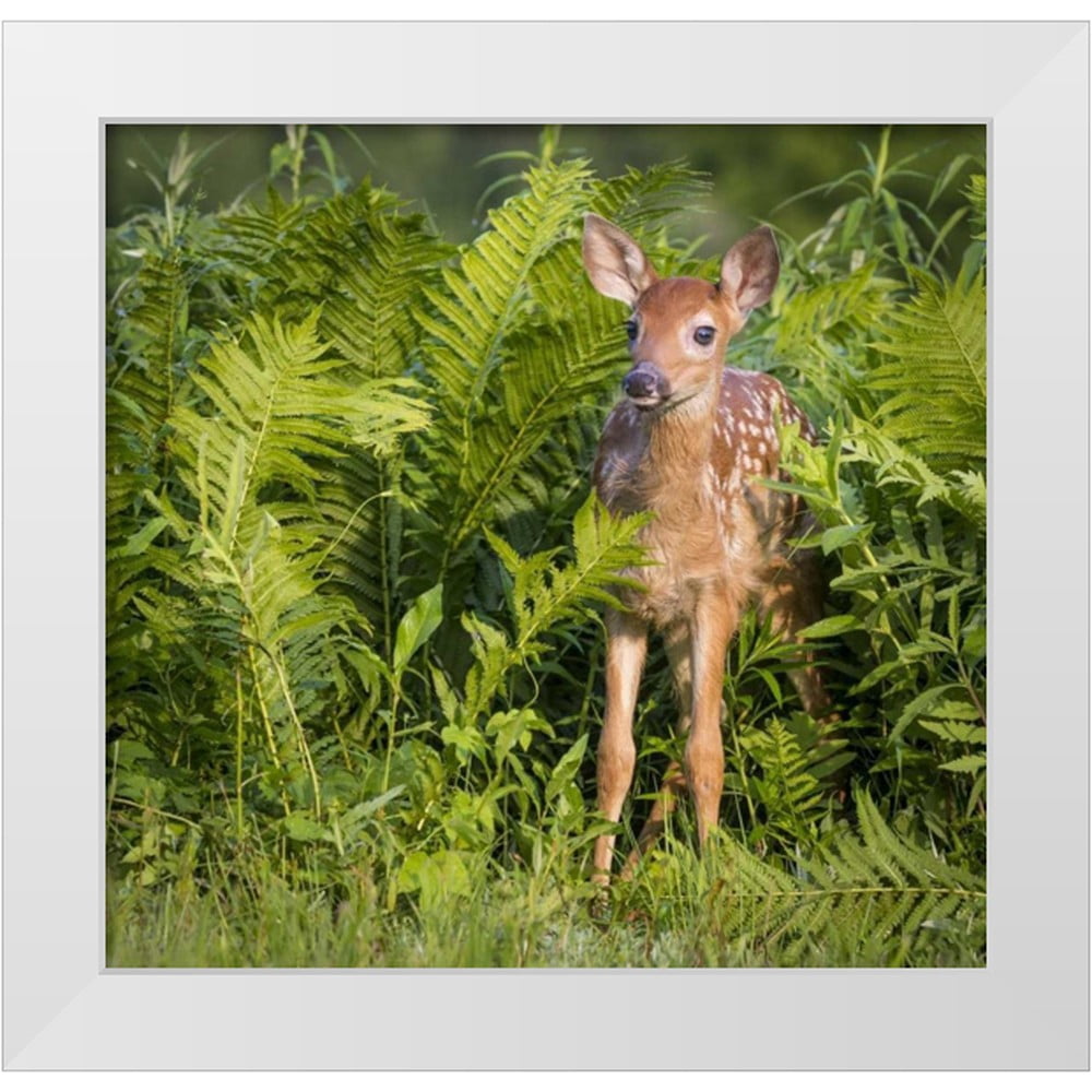 Kaveney, Wendy 27x26 White Modern Wood Framed Museum Art Print Titled ...