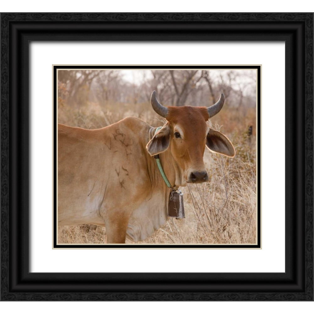 Kaveney, Wendy 29x26 Black Ornate Wood Framed with Double Matting ...