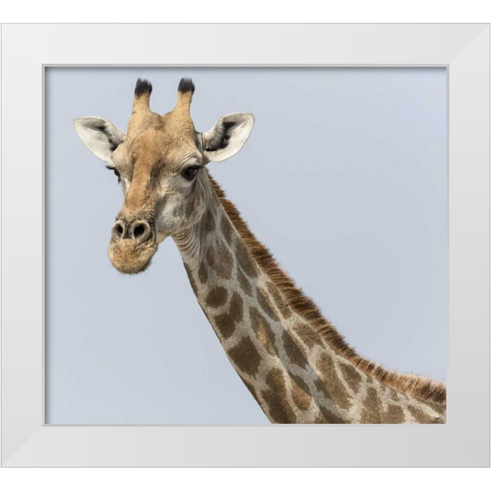 Kaveney, Wendy 29x26 White Modern Wood Framed Museum Art Print Titled ...