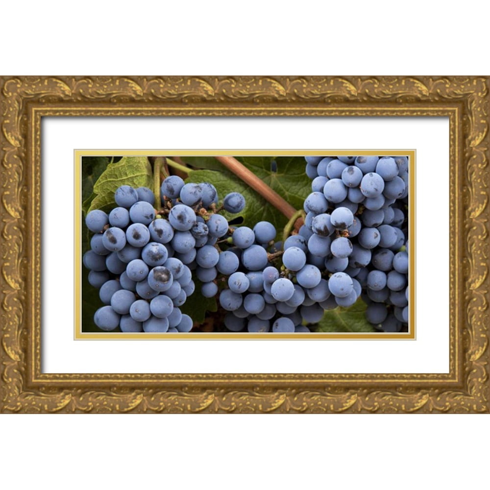 Kaveney, Wendy 32x19 Gold Ornate Wood Framed with Double Matting Museum ...