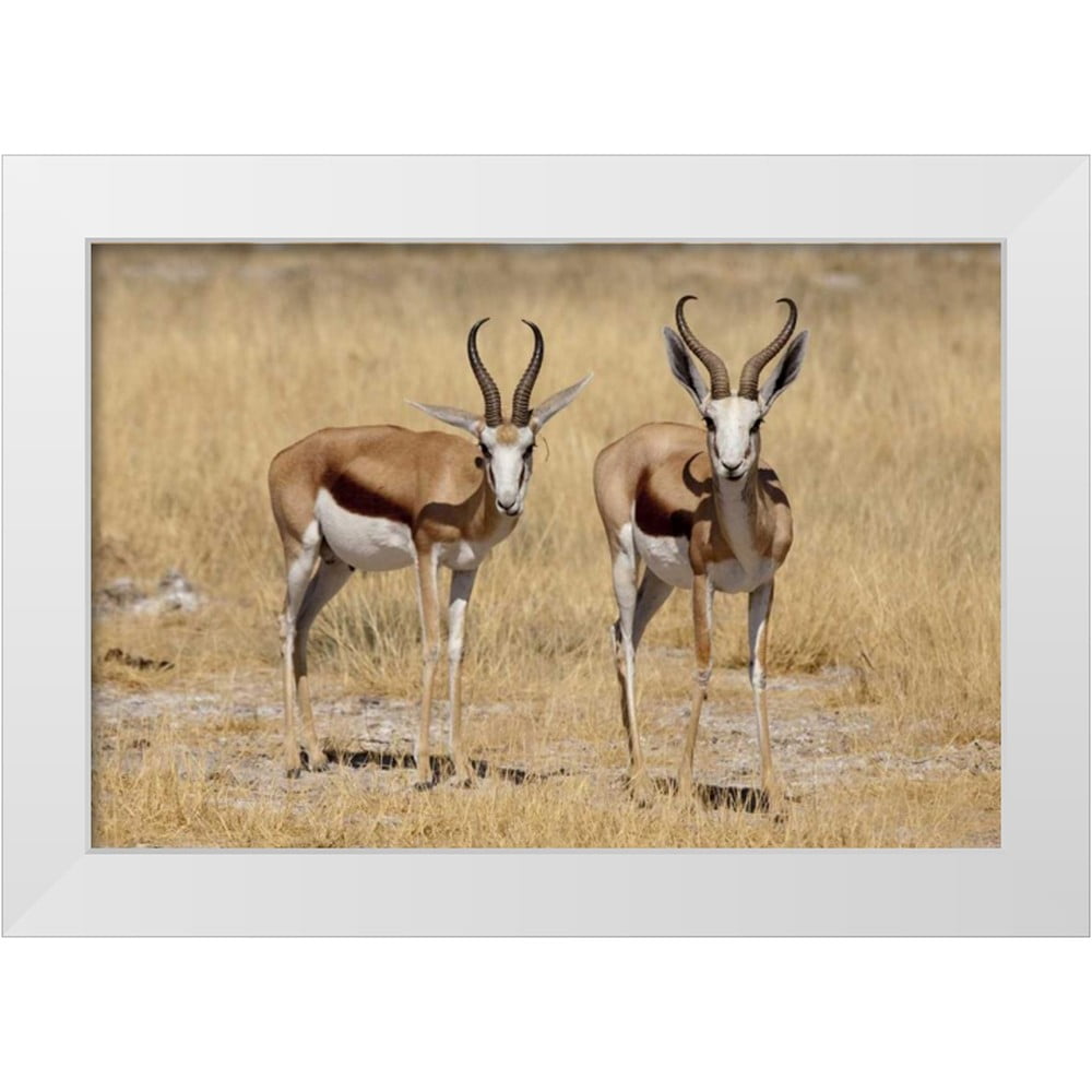 Kaveney, Wendy 32x23 White Modern Wood Framed Museum Art Print Titled ...