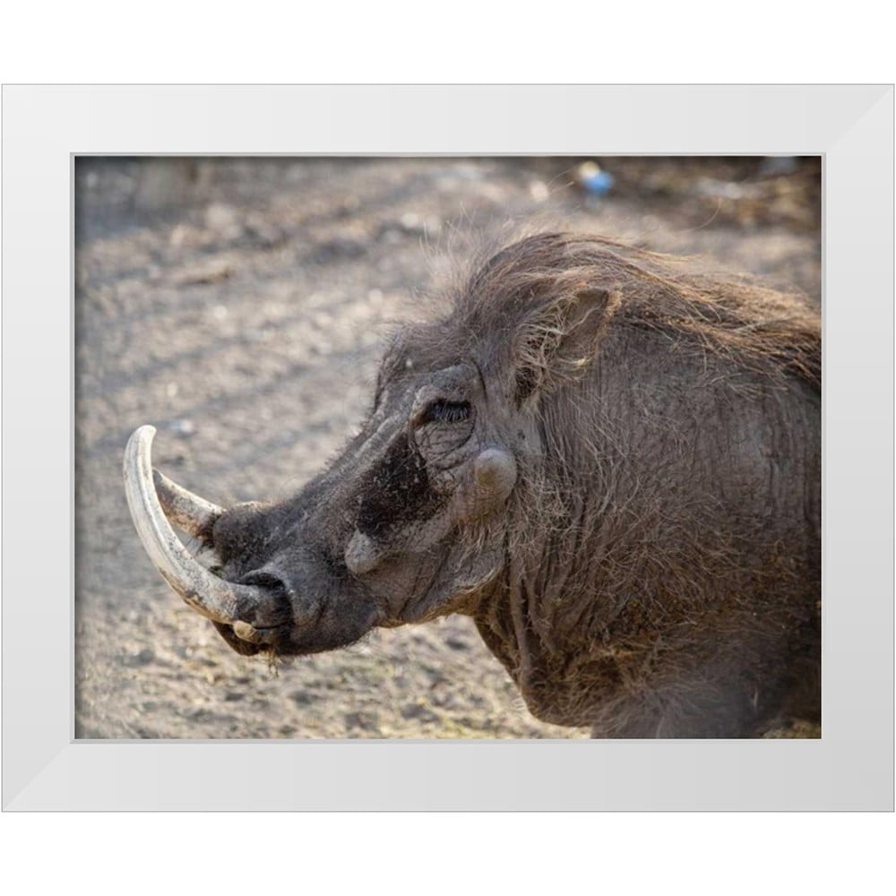 Kaveney, Wendy 32x26 White Modern Wood Framed Museum Art Print Titled ...