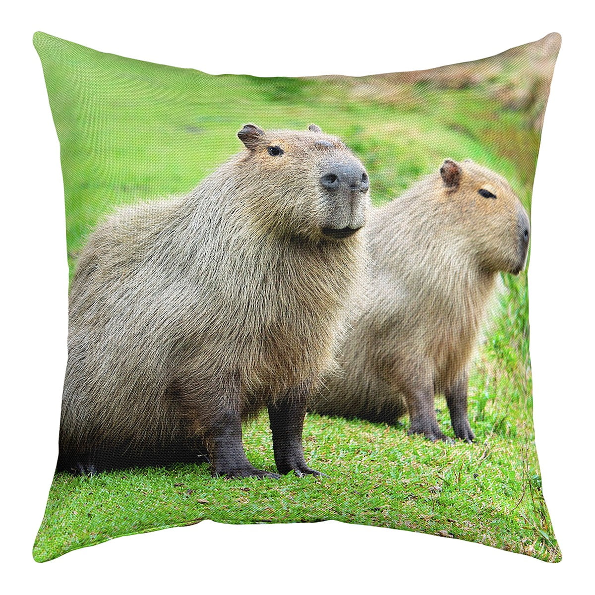 Kawaii Capybaras Throw Pillow Cover for Home Dorm,Cute Relaxing ...