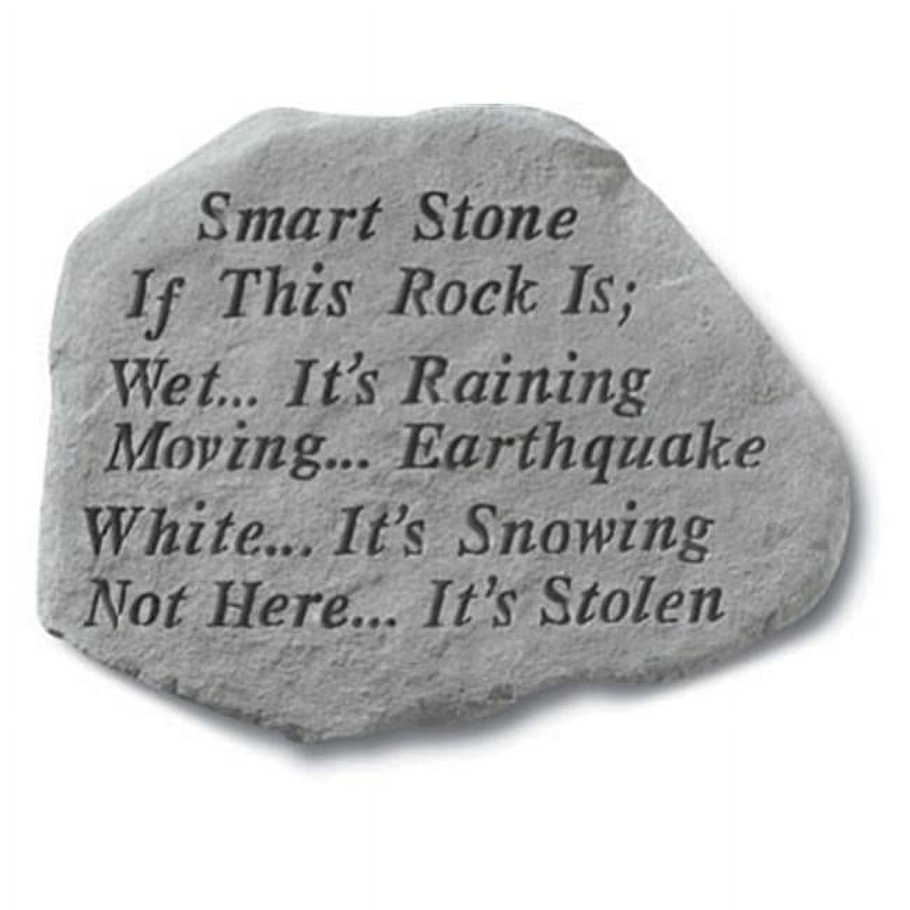 Kay Berry- Inc. 68220 Smart Stone If This Rock Is Wet Its Raining ...